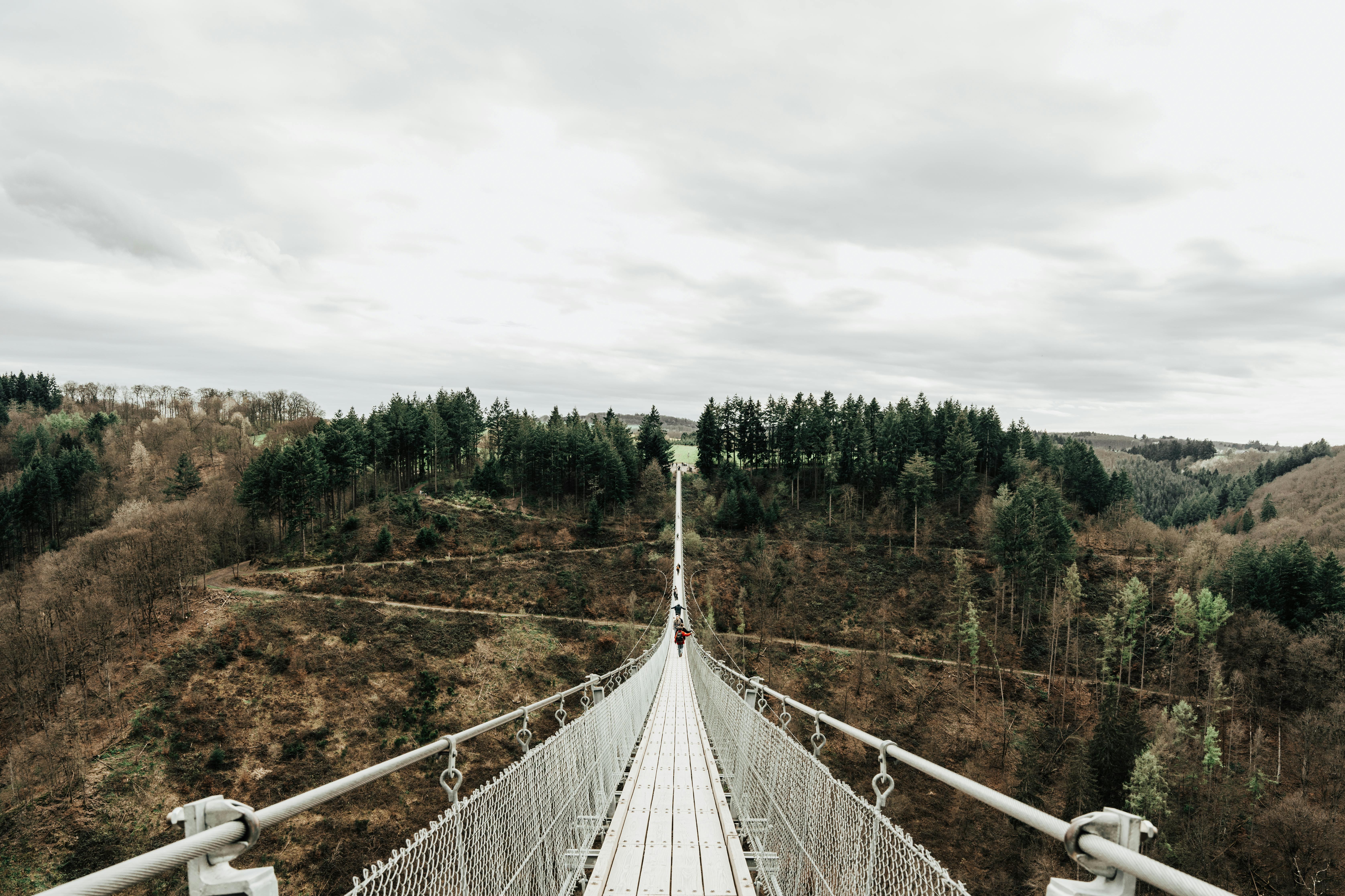 Footbridge over Abyss · Free Stock Photo