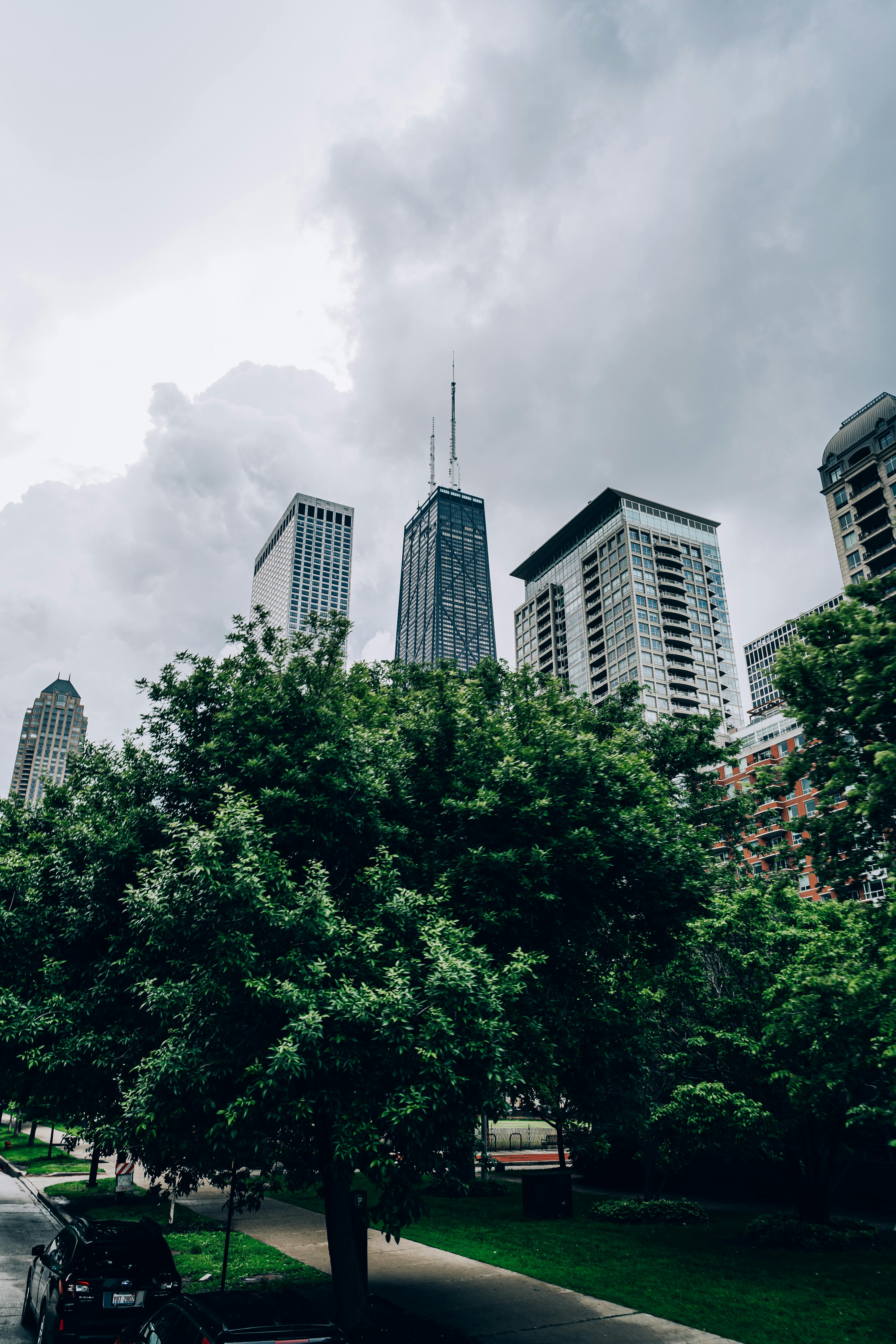 Buildings Near Trees · Free Stock Photo