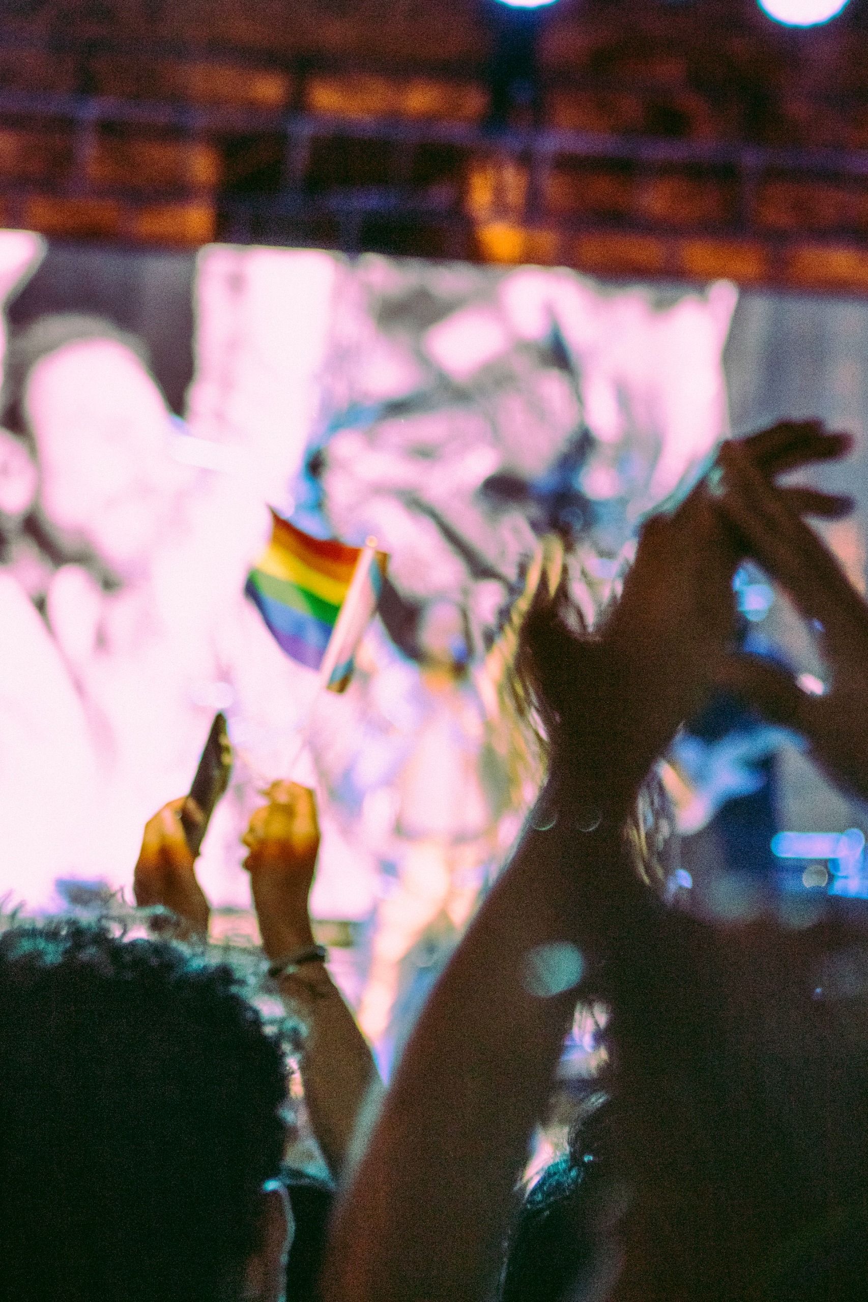 Raised Hands of People in Festival · Free Stock Photo
