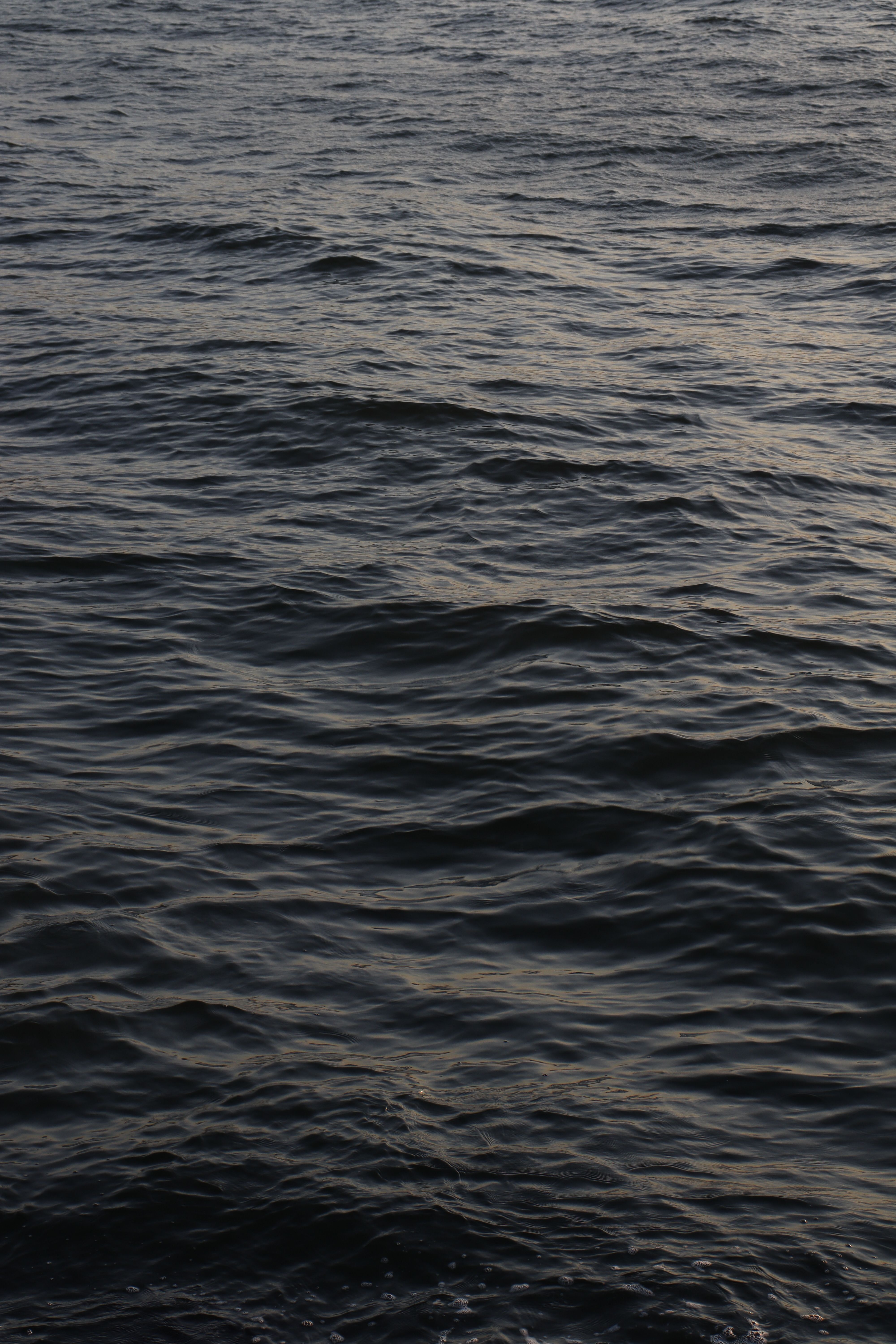 Close-up of the Water Surfac · Free Stock Photo
