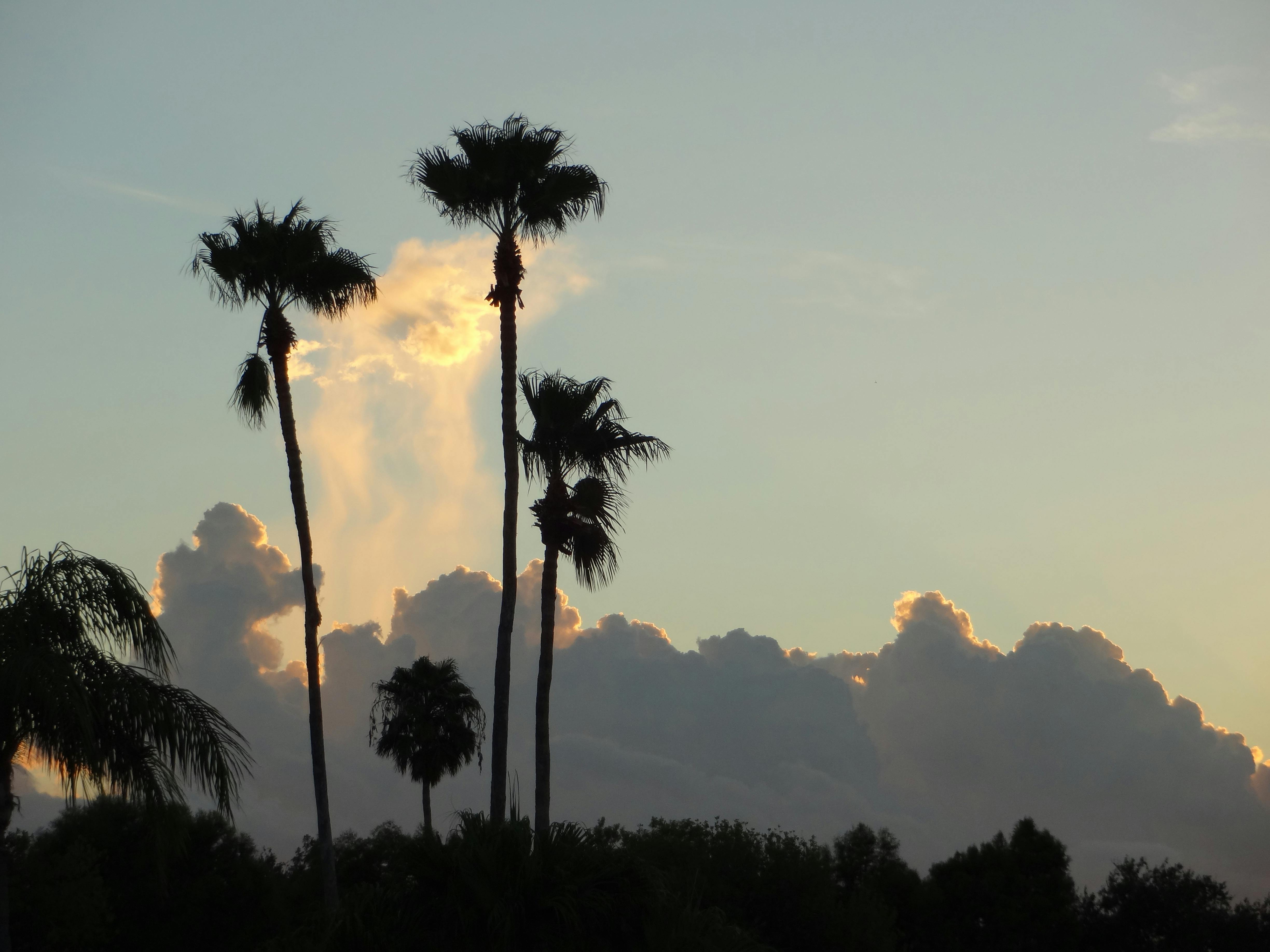 Tim OBrien - Fotografía