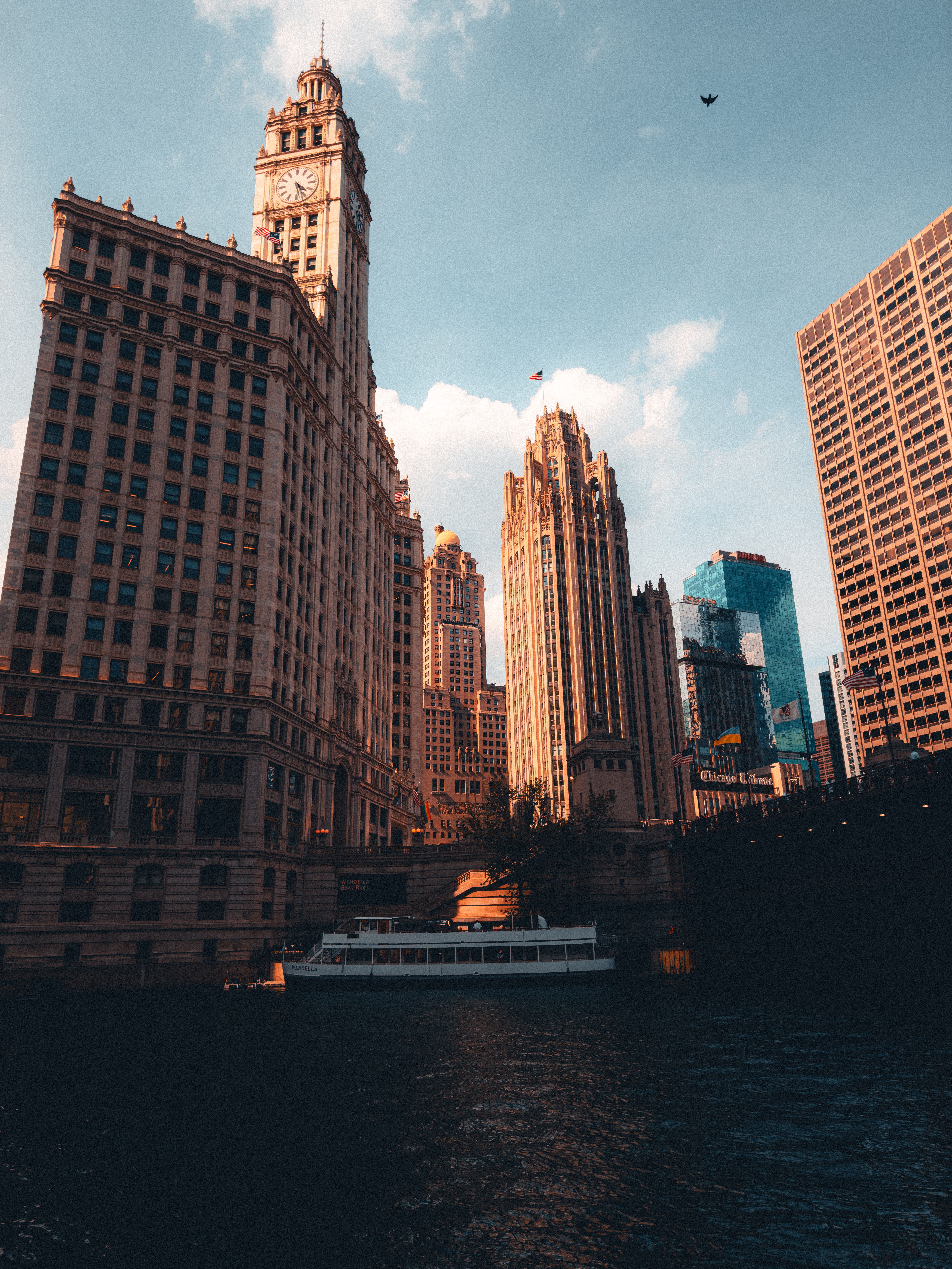 Skyscrapers near River in Chicago · Free Stock Photo