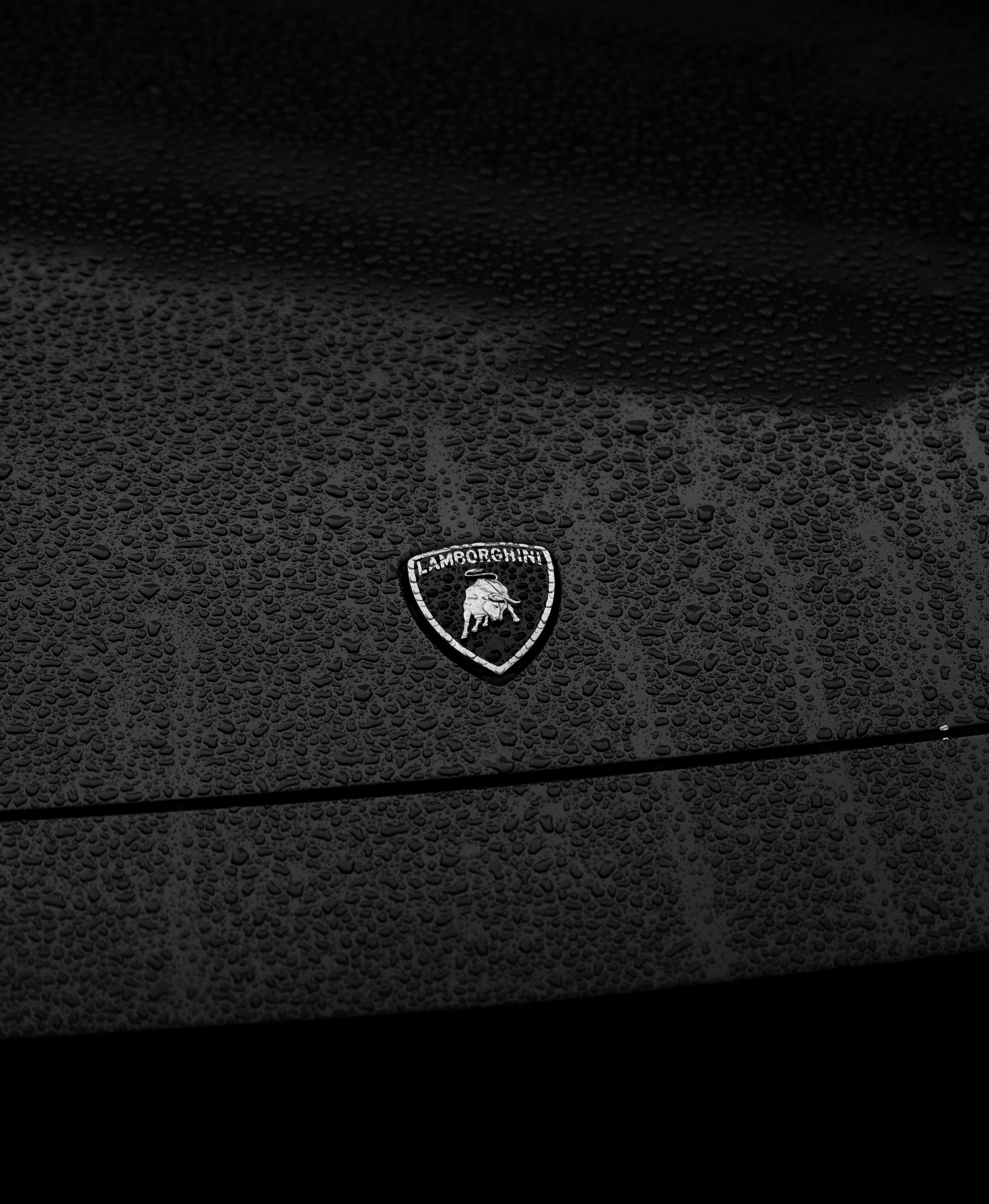 Bull on Emblem of Luxurious Car · Free Stock Photo