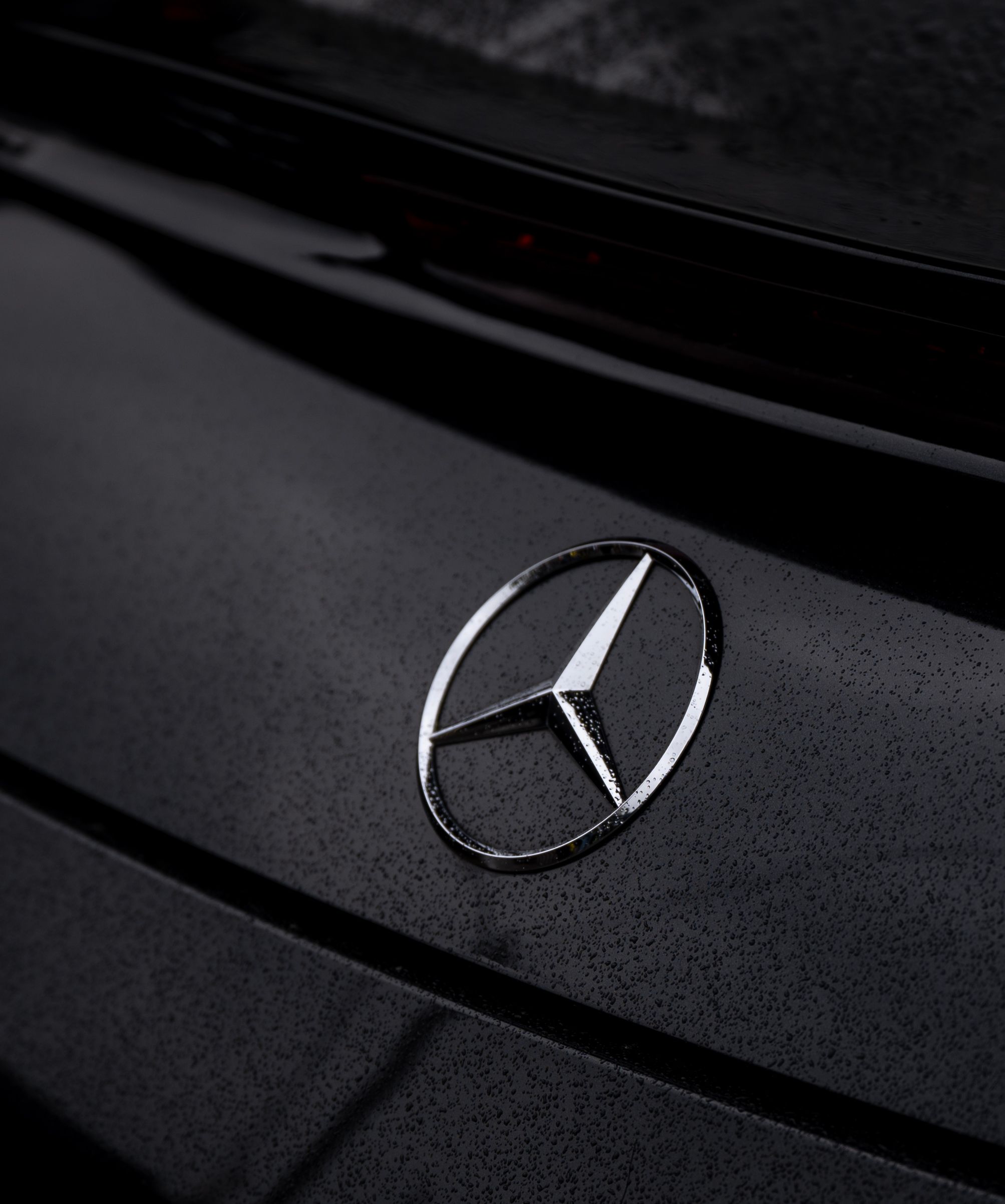 Mercedes Emblem on Livery · Free Stock Photo