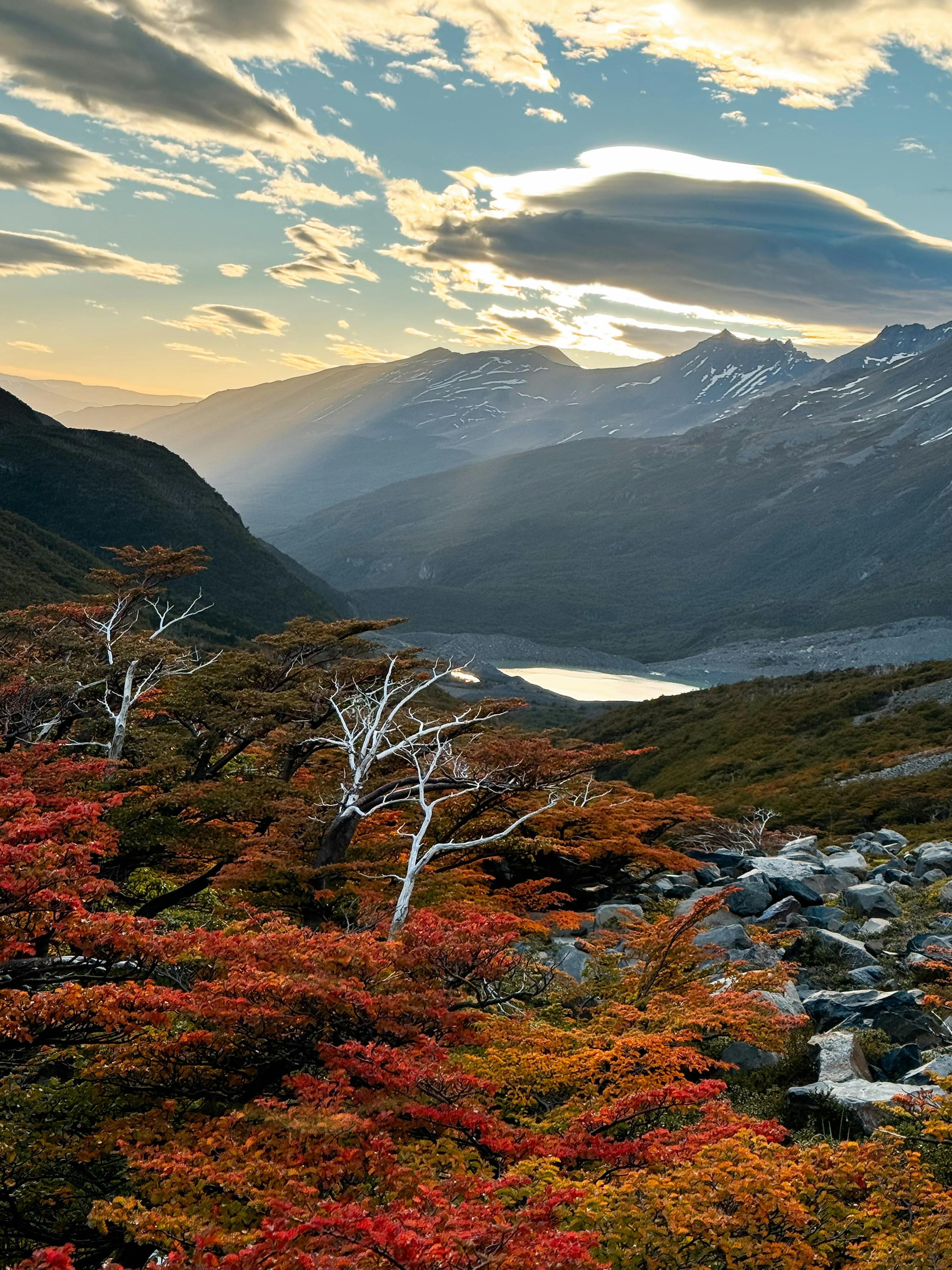 Autumn Forest in Valley in Mountains · Free Stock Photo
