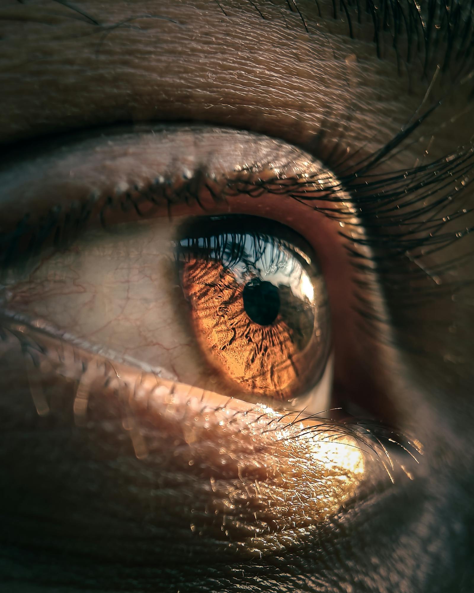 Human Eye Photos, Download The BEST Free Human Eye Stock Photos & HD Images