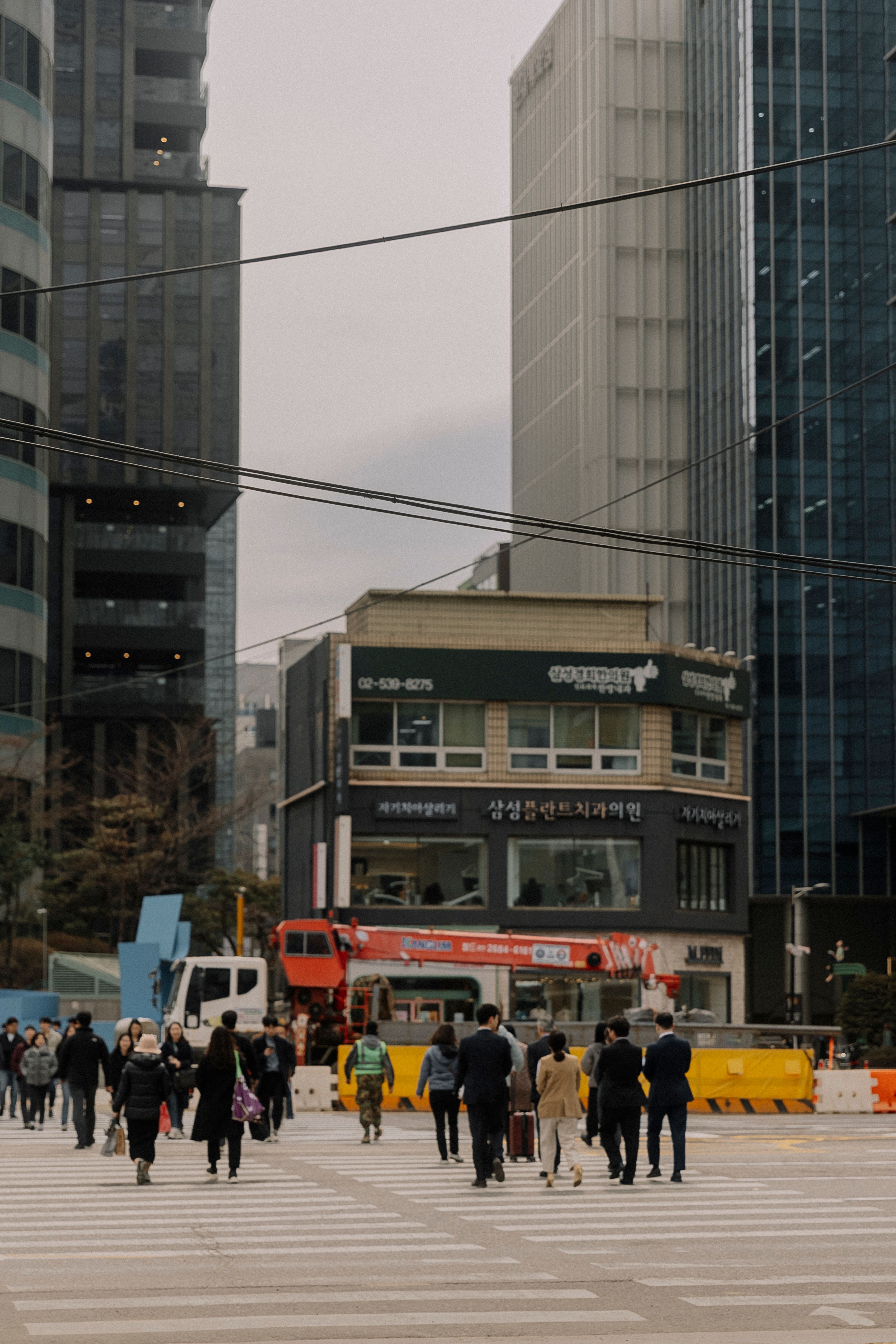 Pedestrians on a Crosswalk · Free Stock Photo