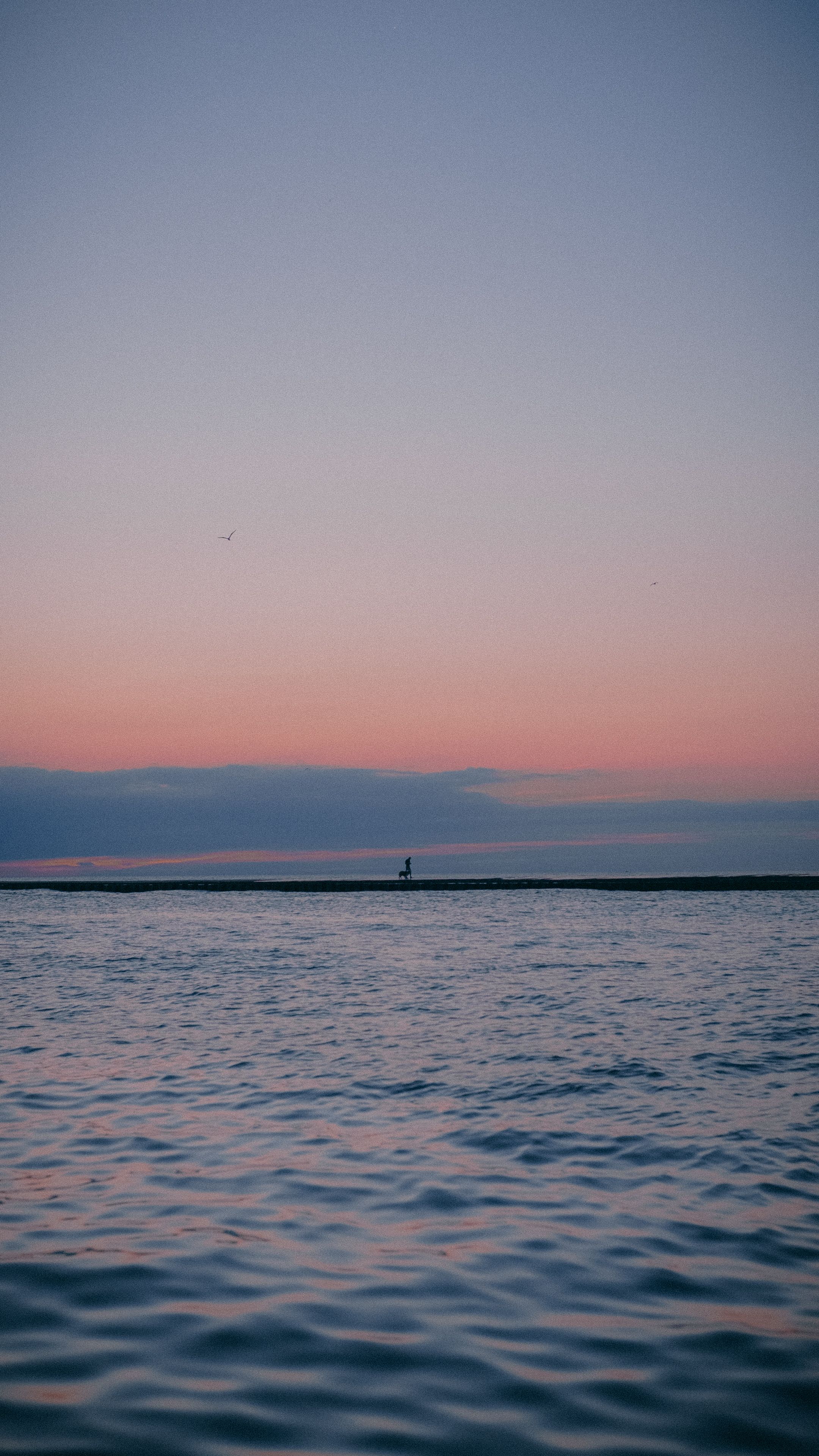 Jackson Howes - Photography