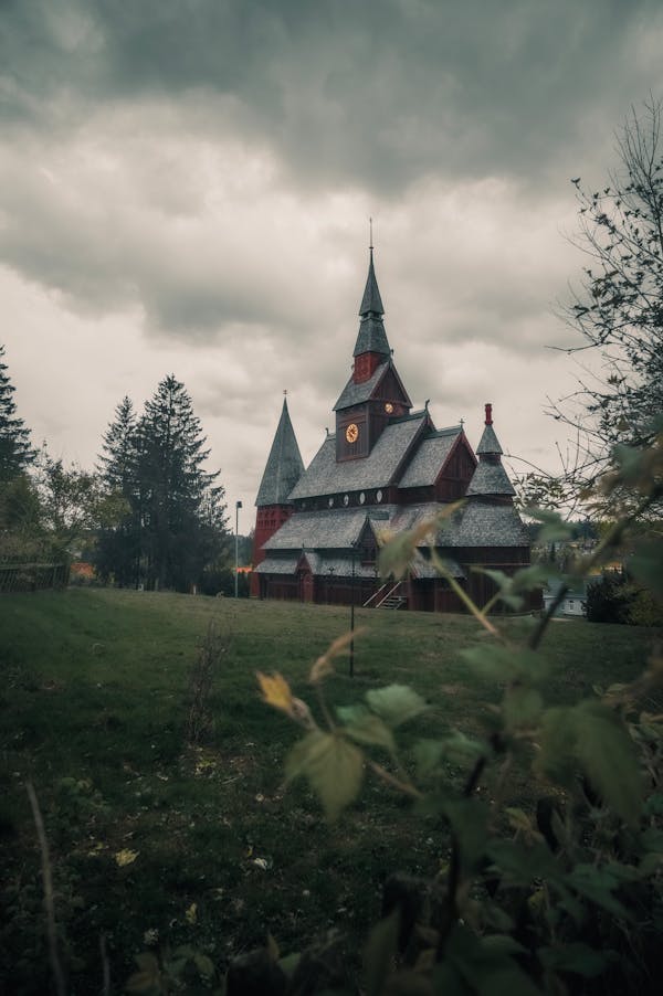 Adolf+Rizzler+Pfp Photos, Download The BEST Free Adolf+Rizzler+Pfp ...