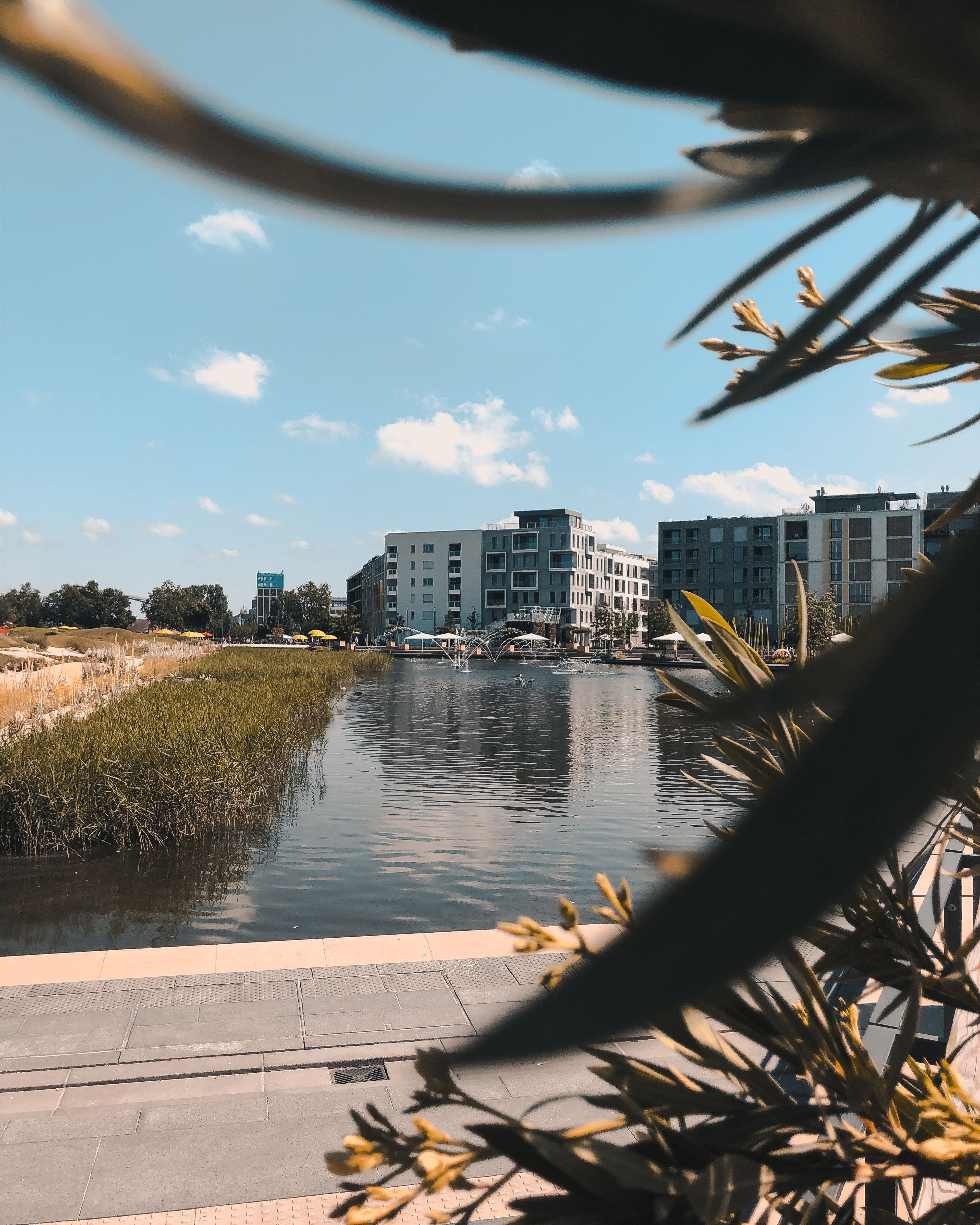 Photo of Buildings Near River · Free Stock Photo