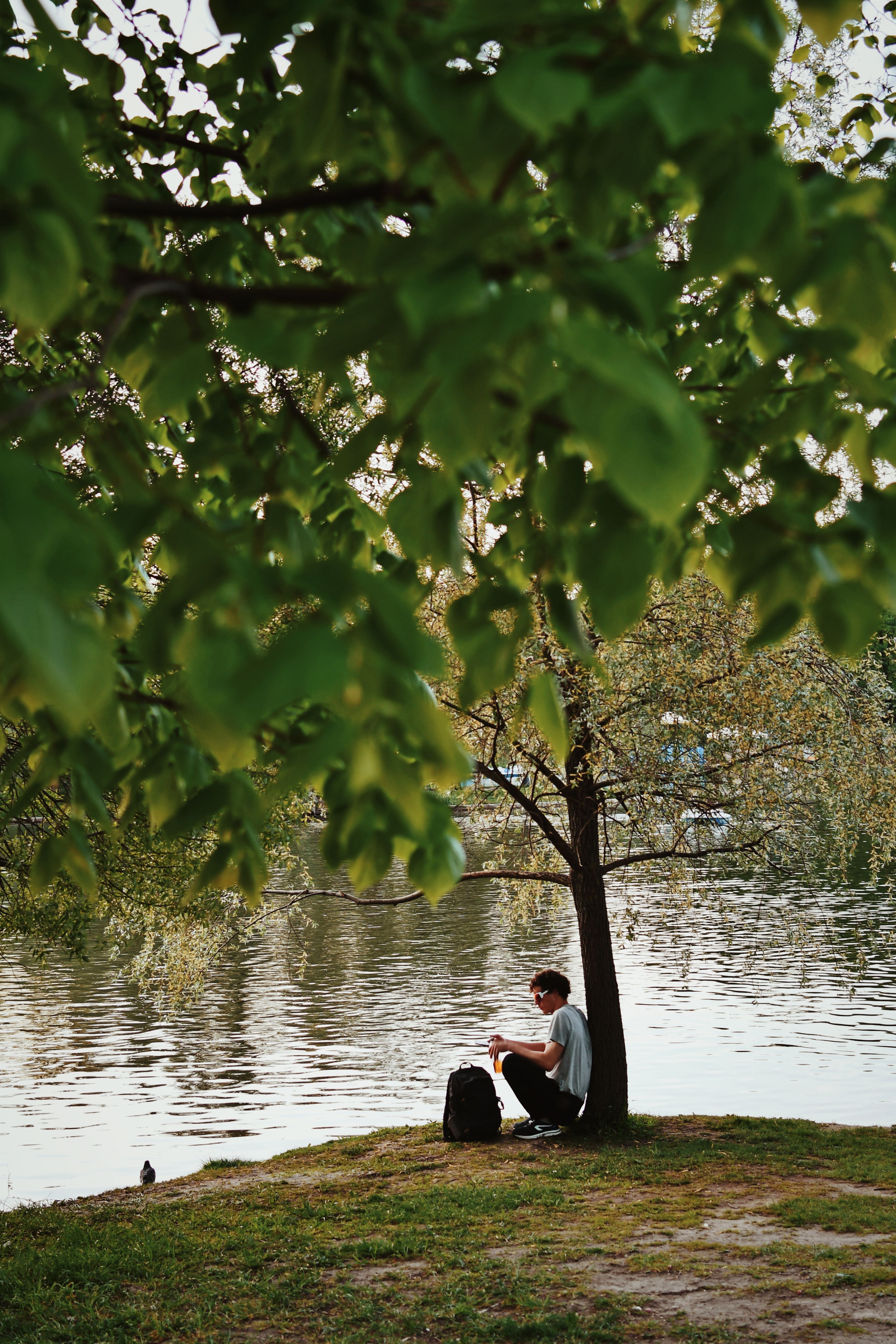 A man sitting under a tree reading a book · Free Stock Photo