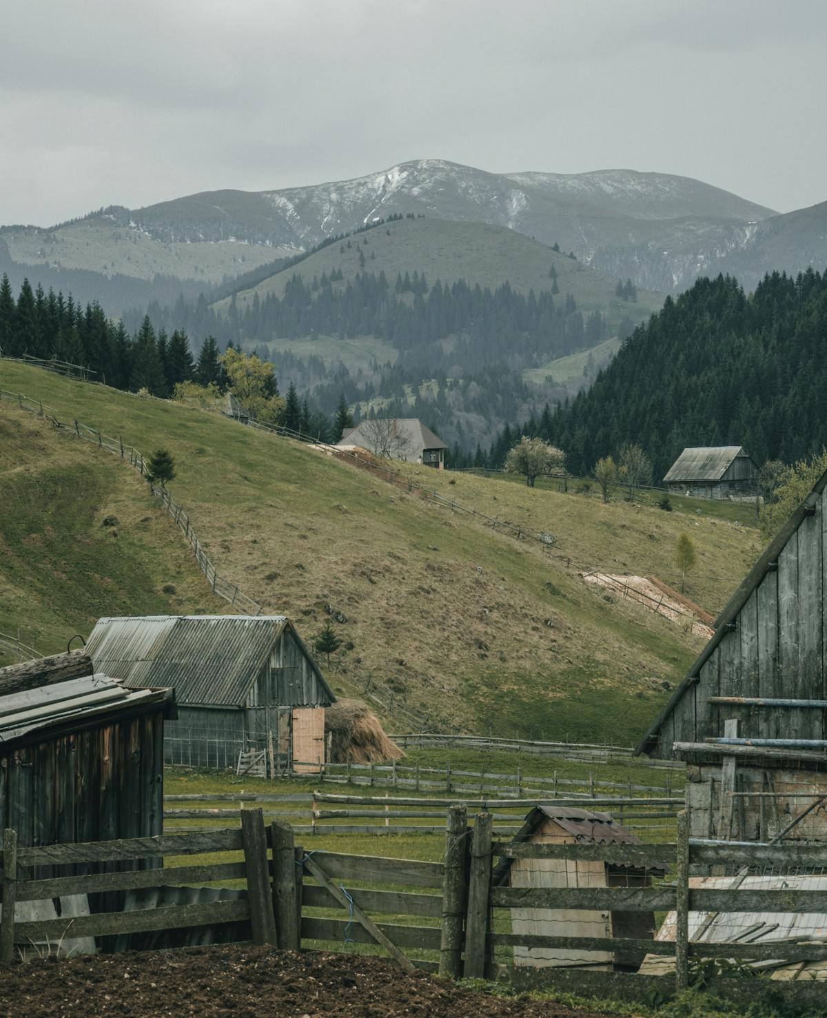 60s Farm Photos, Download The BEST Free 60s Farm Stock Photos & HD Images