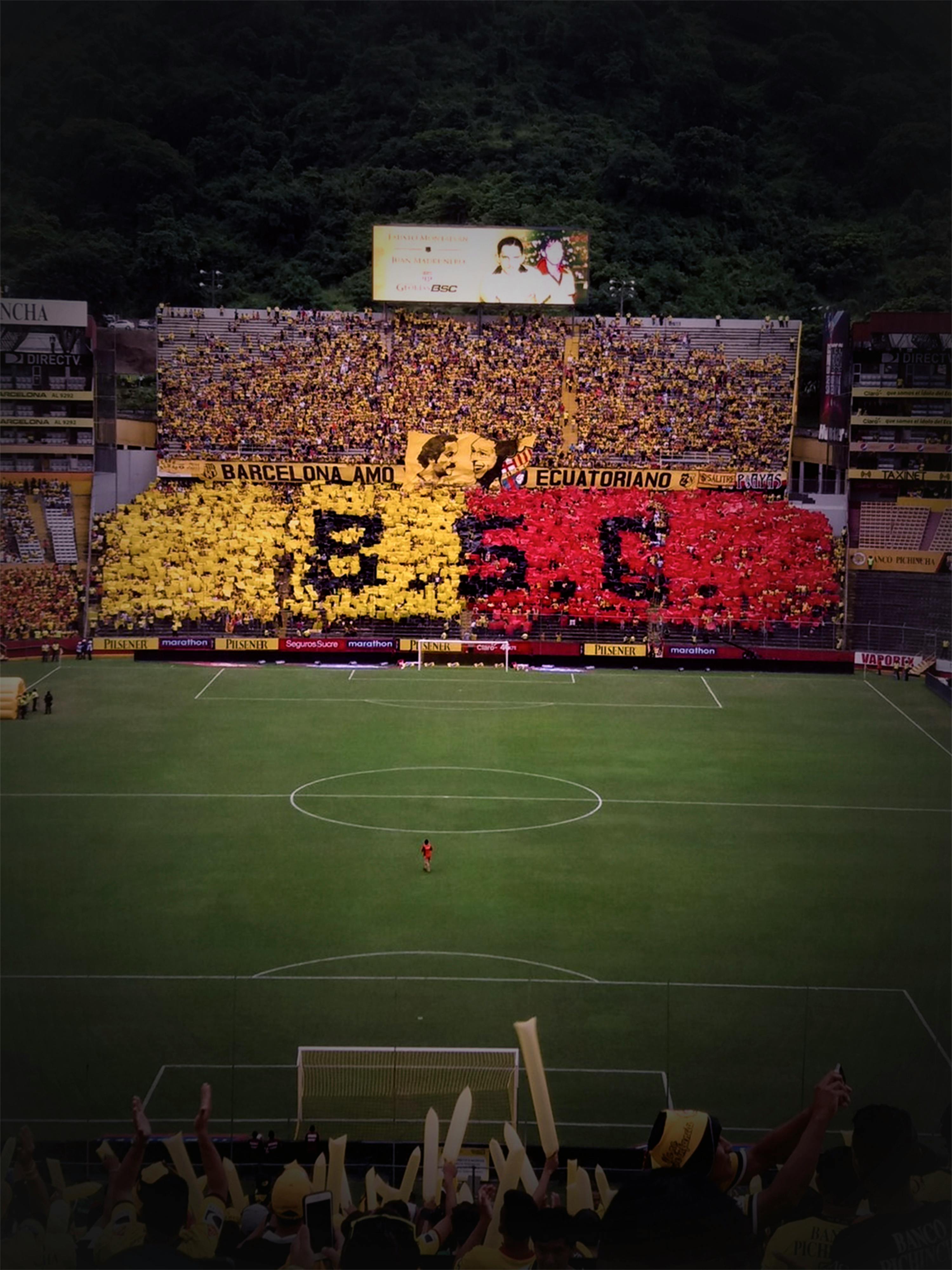 Foto de stock gratuita sobre afición, amarillo, América del sur