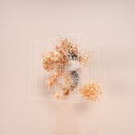 Responsibility Photos, Download The BEST Free Responsibility Stock ...