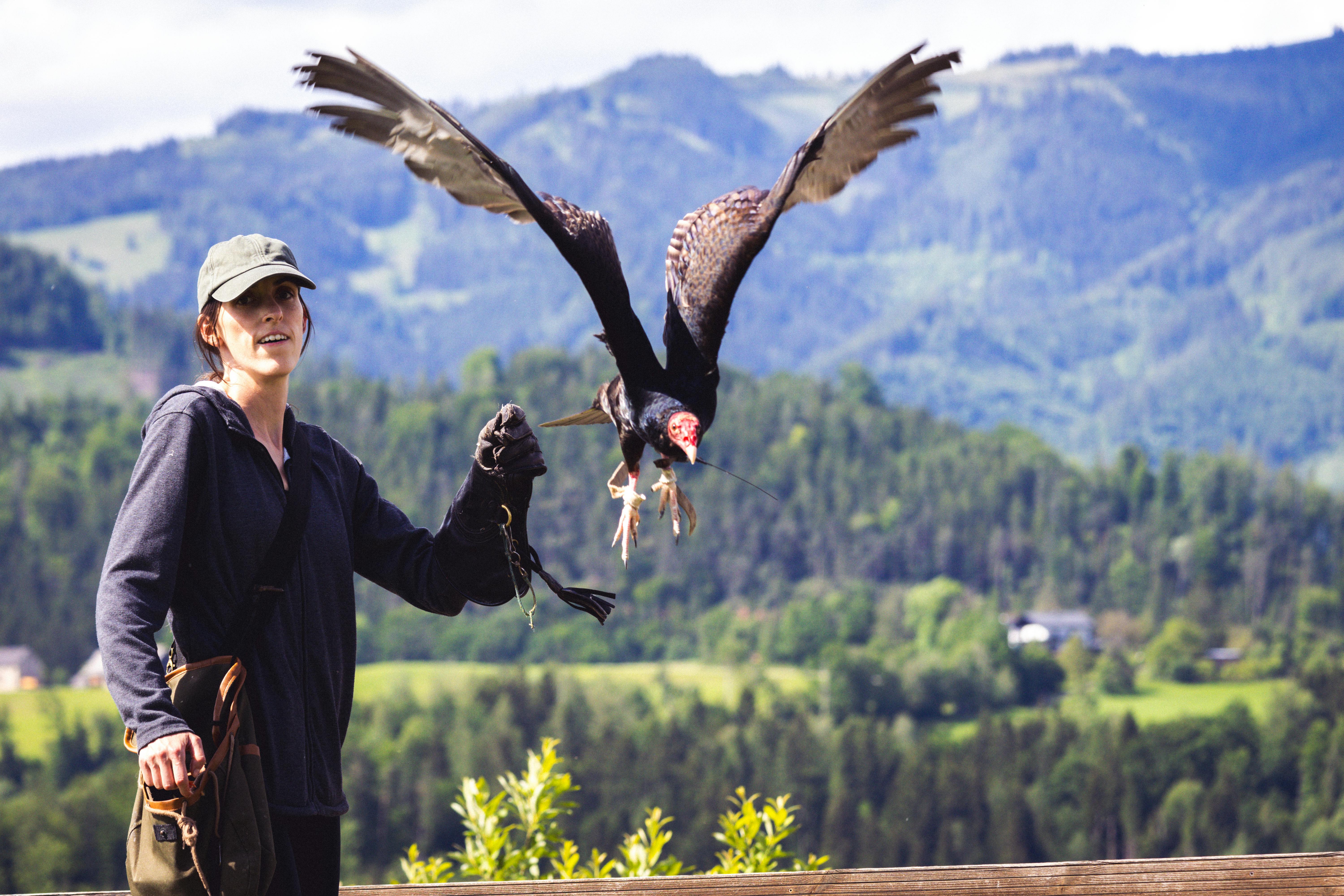 Woman with a Andean Condor Against Mountain Landscape · Free Stock Photo