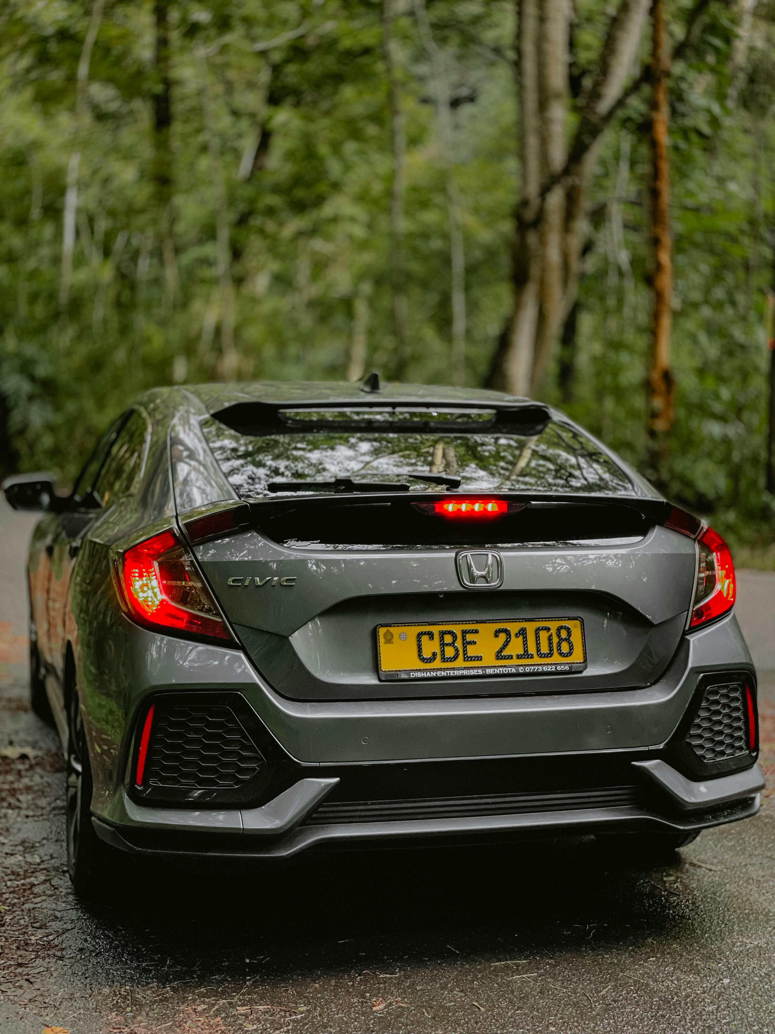 Gray Honda Civic on Road in Forest · Free Stock Photo