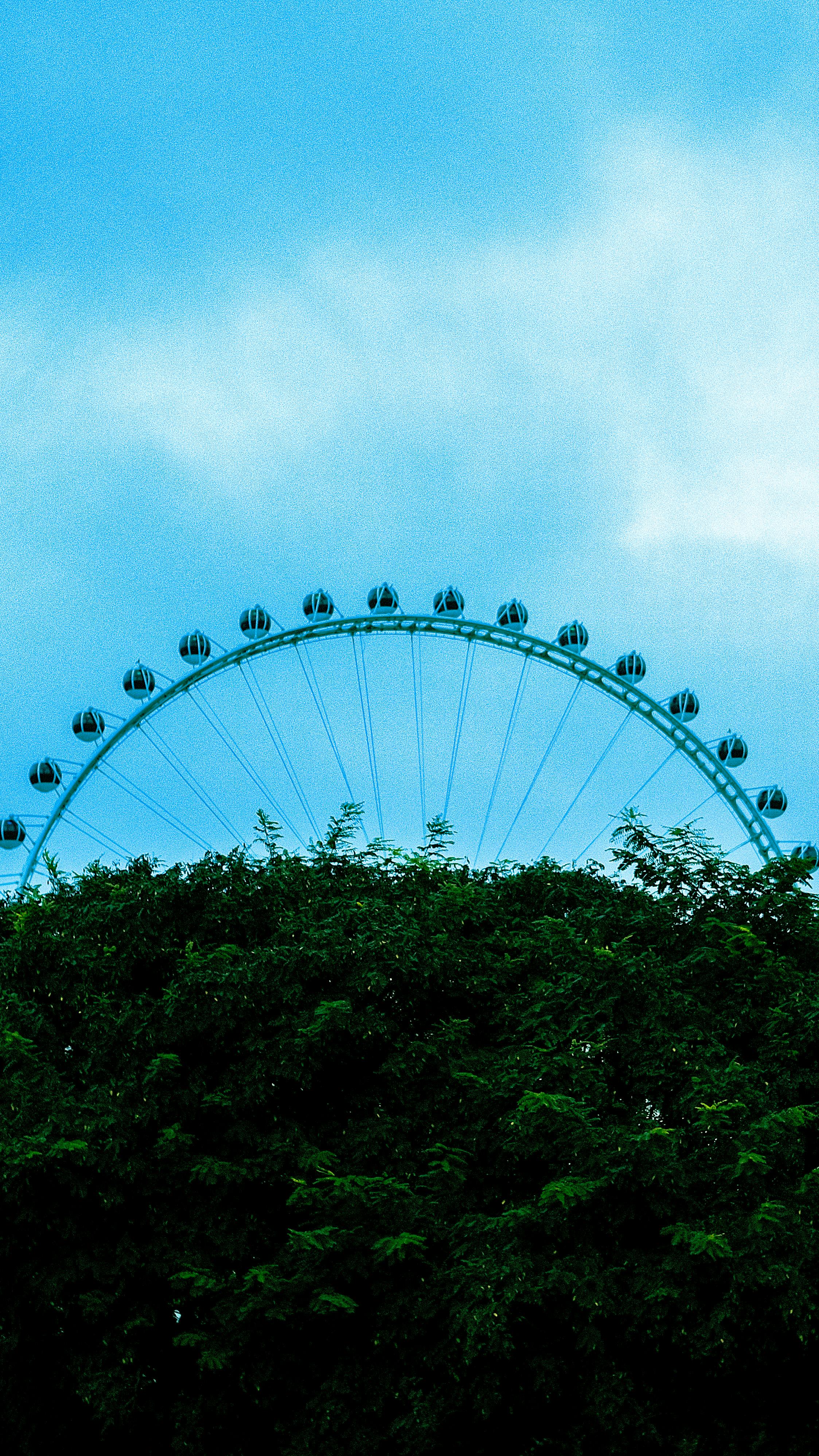 Fun Wheel · Free Stock Photo
