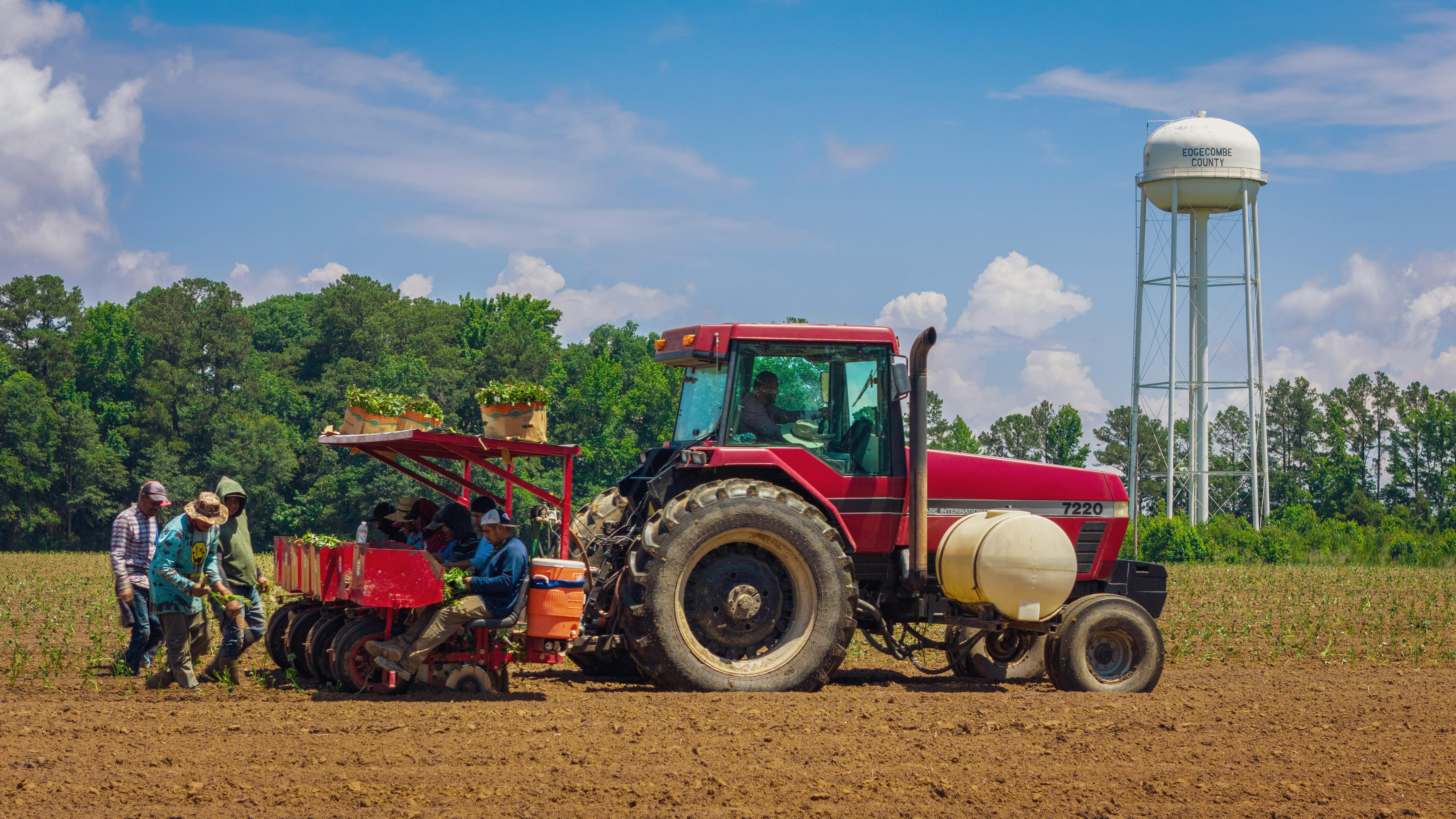 Farmers Planting on Farm · Free Stock Photo