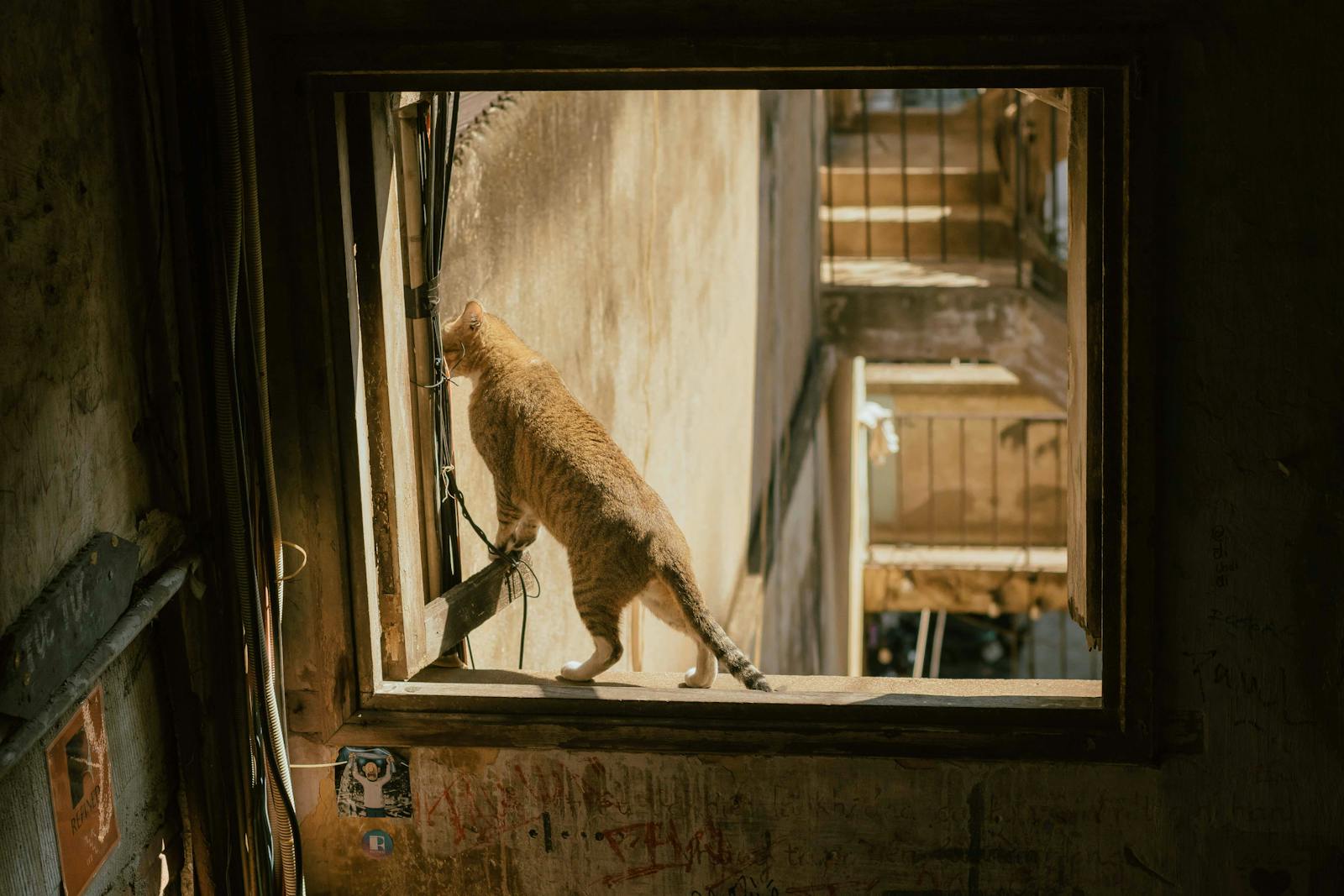 Window Frame Photos, Download The BEST Free Window Frame Stock Photos & HD Images