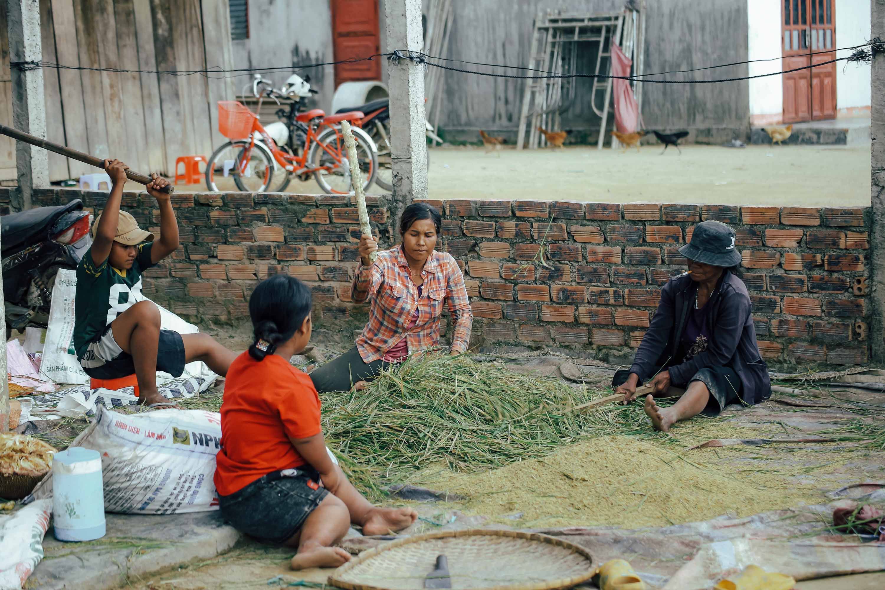 A Group of People Sitting on the Ground with a Pile of Grain · Free ...
