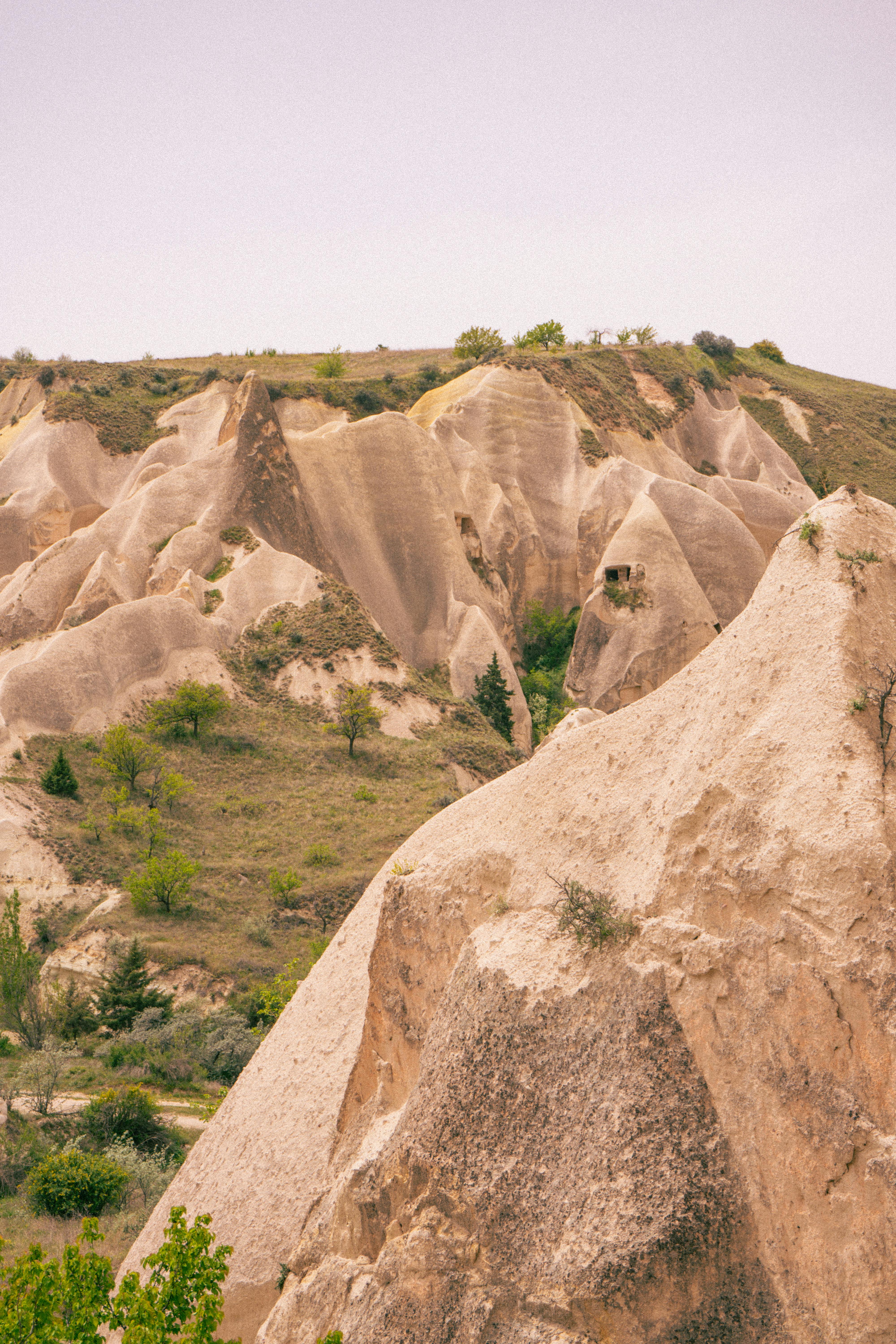 Red & Rose Valley · Free Stock Photo