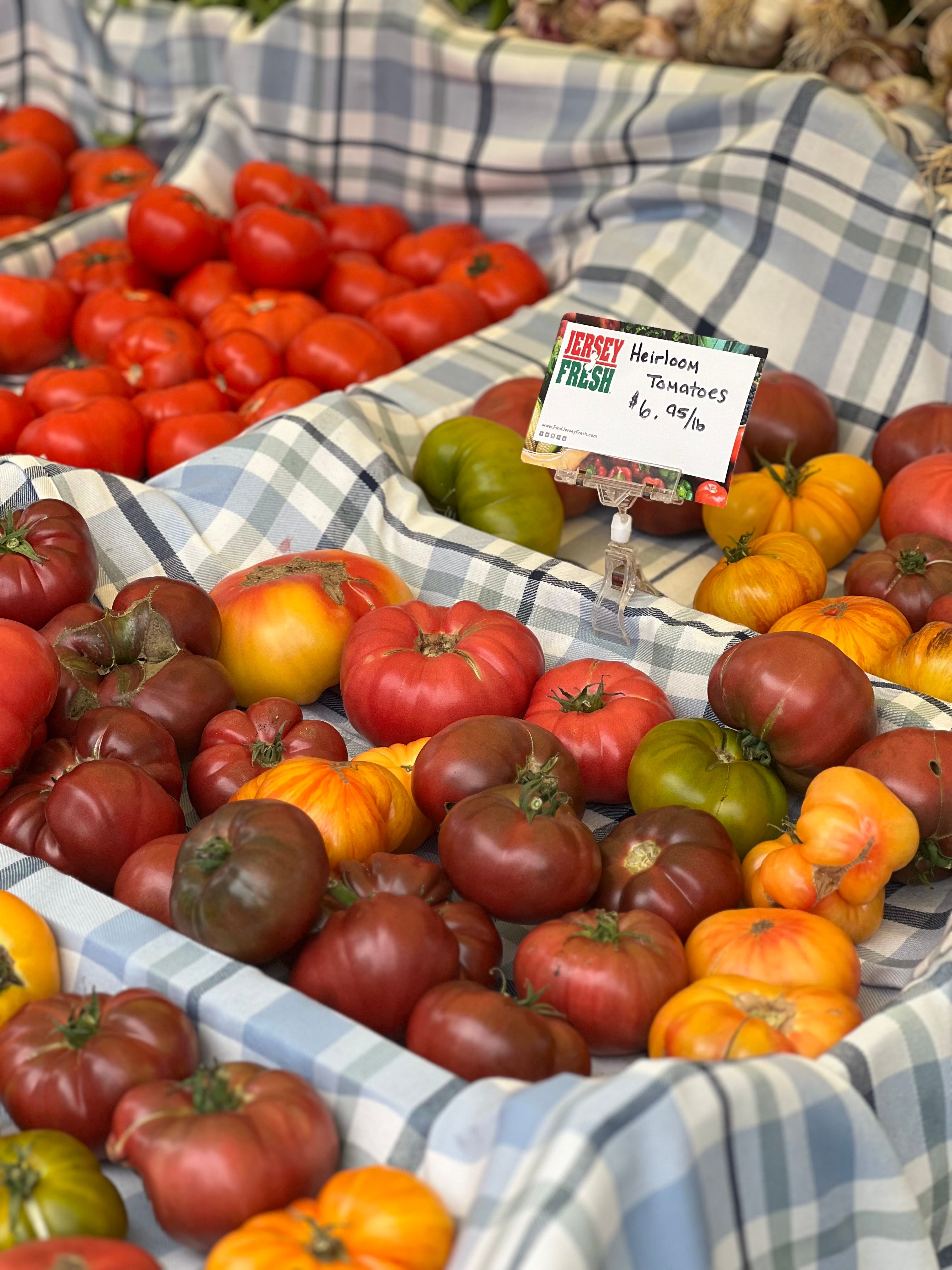 Fresh Tomatoes at the Market · Free Stock Photo
