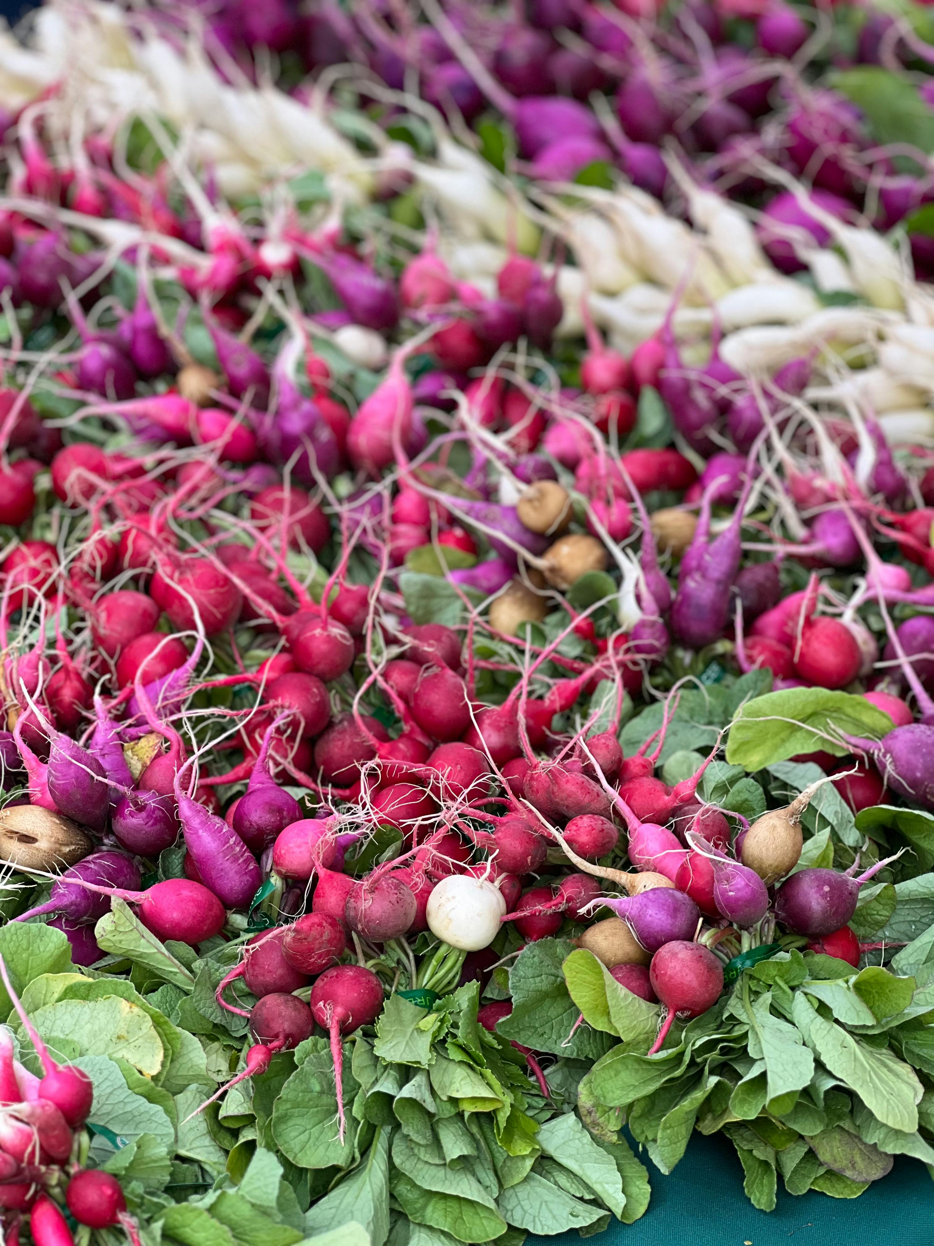 Abundance of Radish at Bazaar · Free Stock Photo