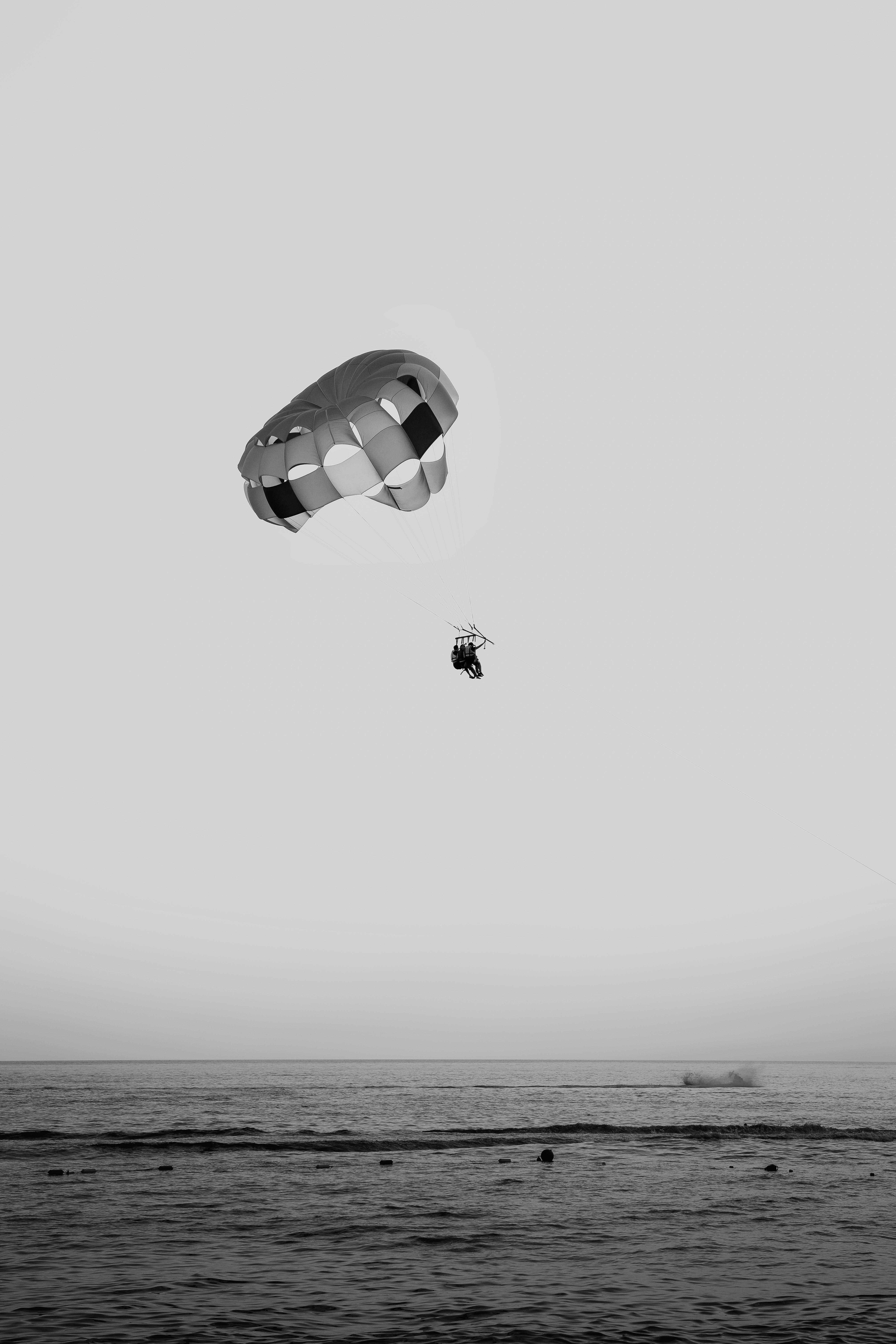 People Parachuting Together over Sea · Free Stock Photo