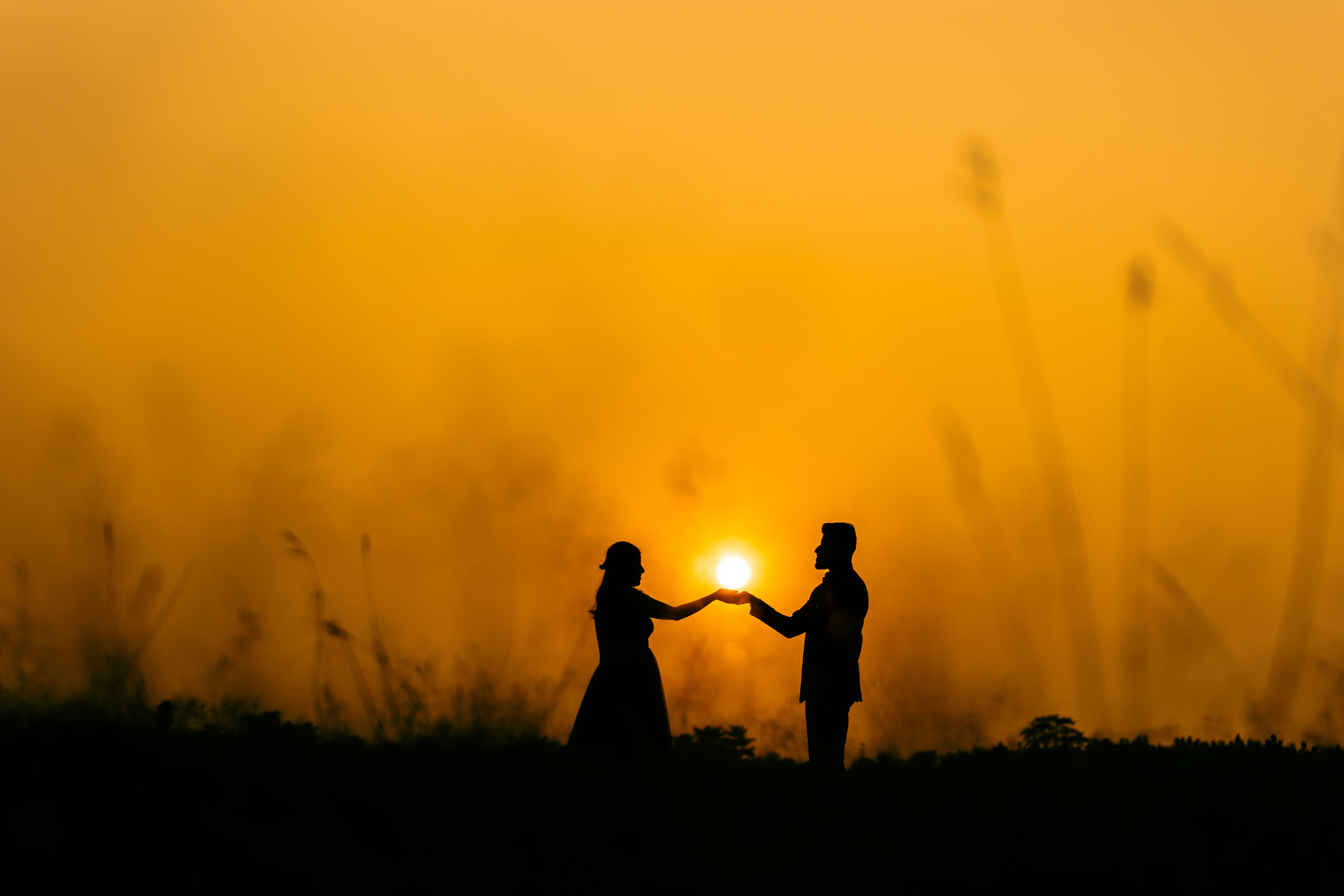 Pre Wedding · Free Stock Photo