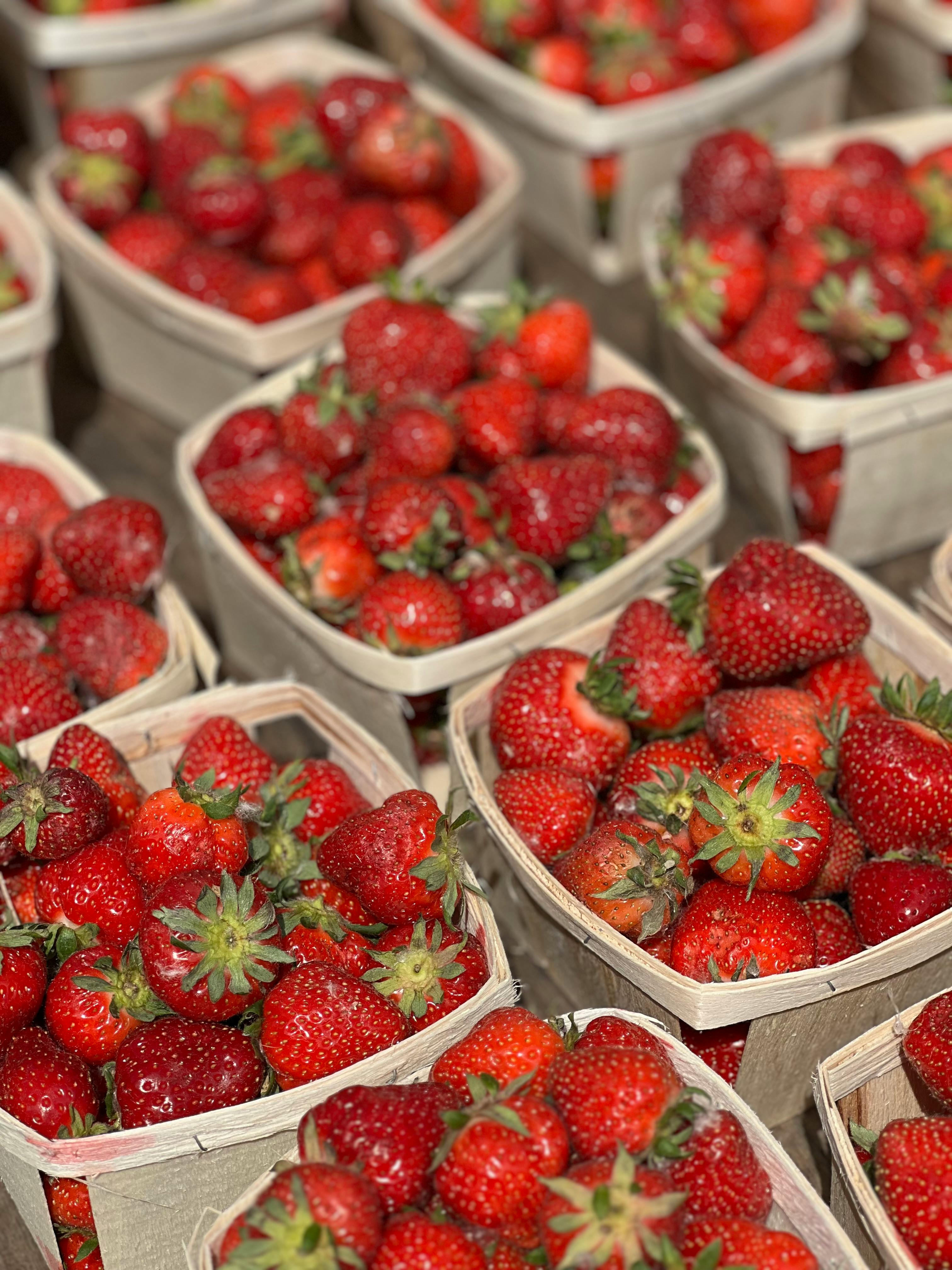 Strawberries in Boxes · Free Stock Photo