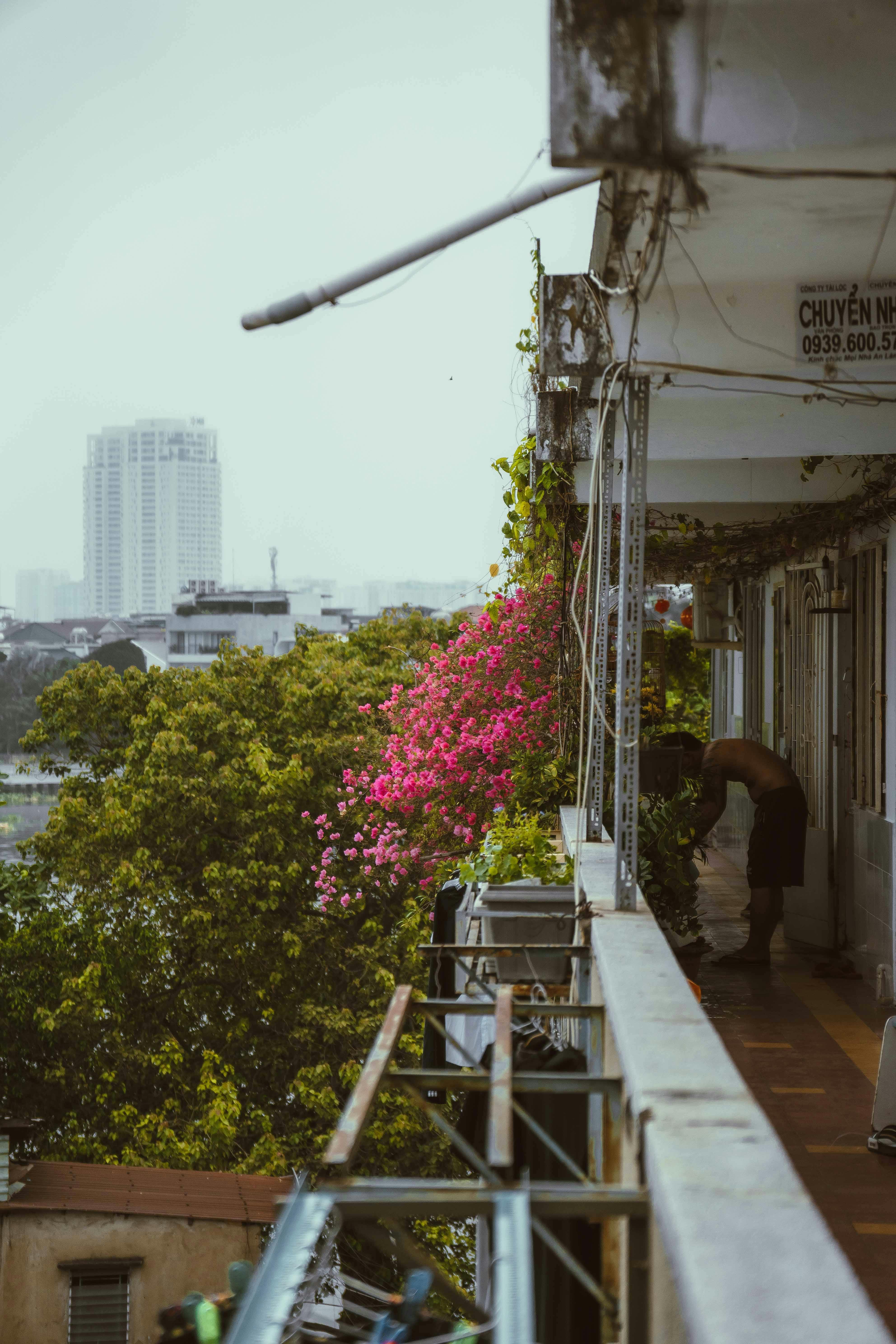 Balcony Images Building Photos, Download The BEST Free Balcony Images ...