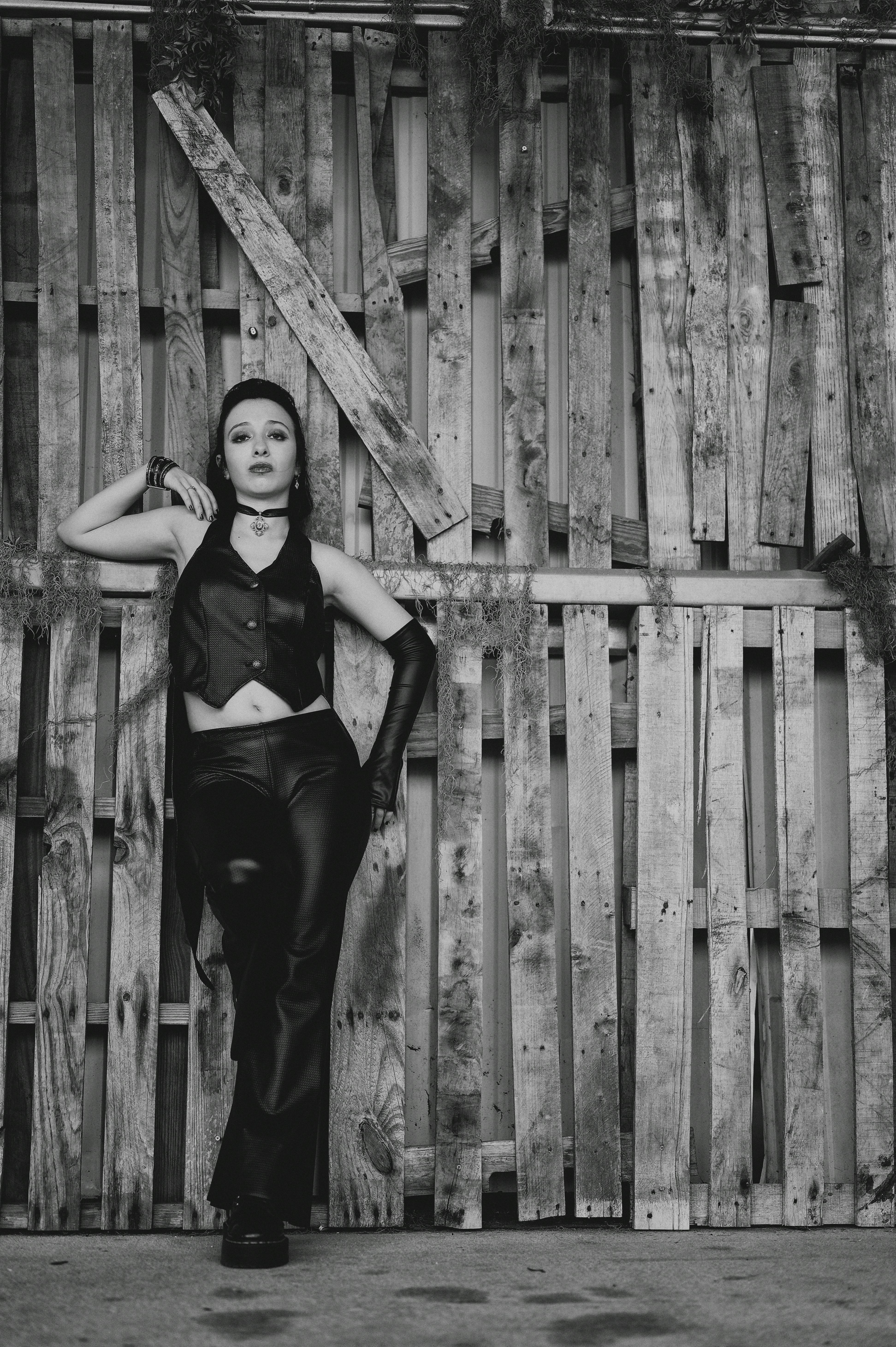 Panel Potret Photos, Download The BEST Free Panel Potret Stock Photos ...