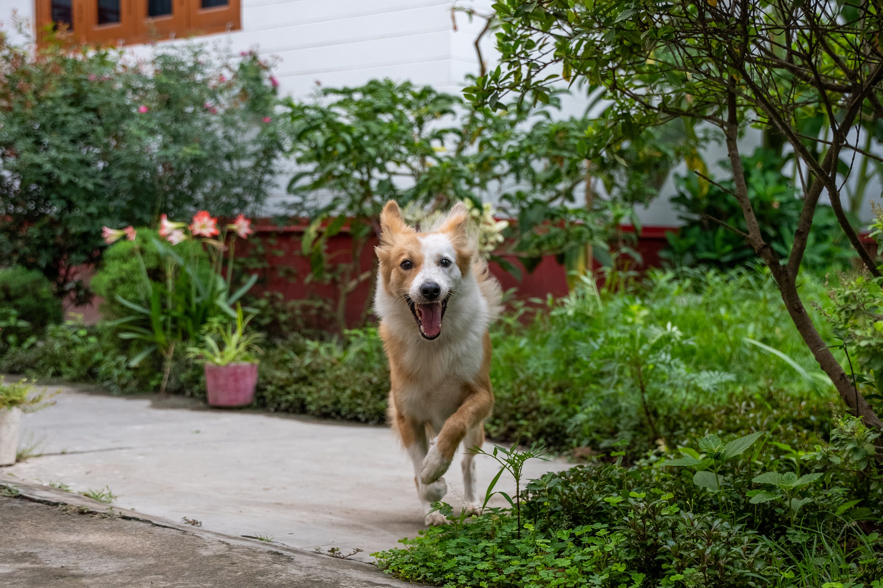 Running Out Of House Photos, Download The BEST Free Running Out Of ...