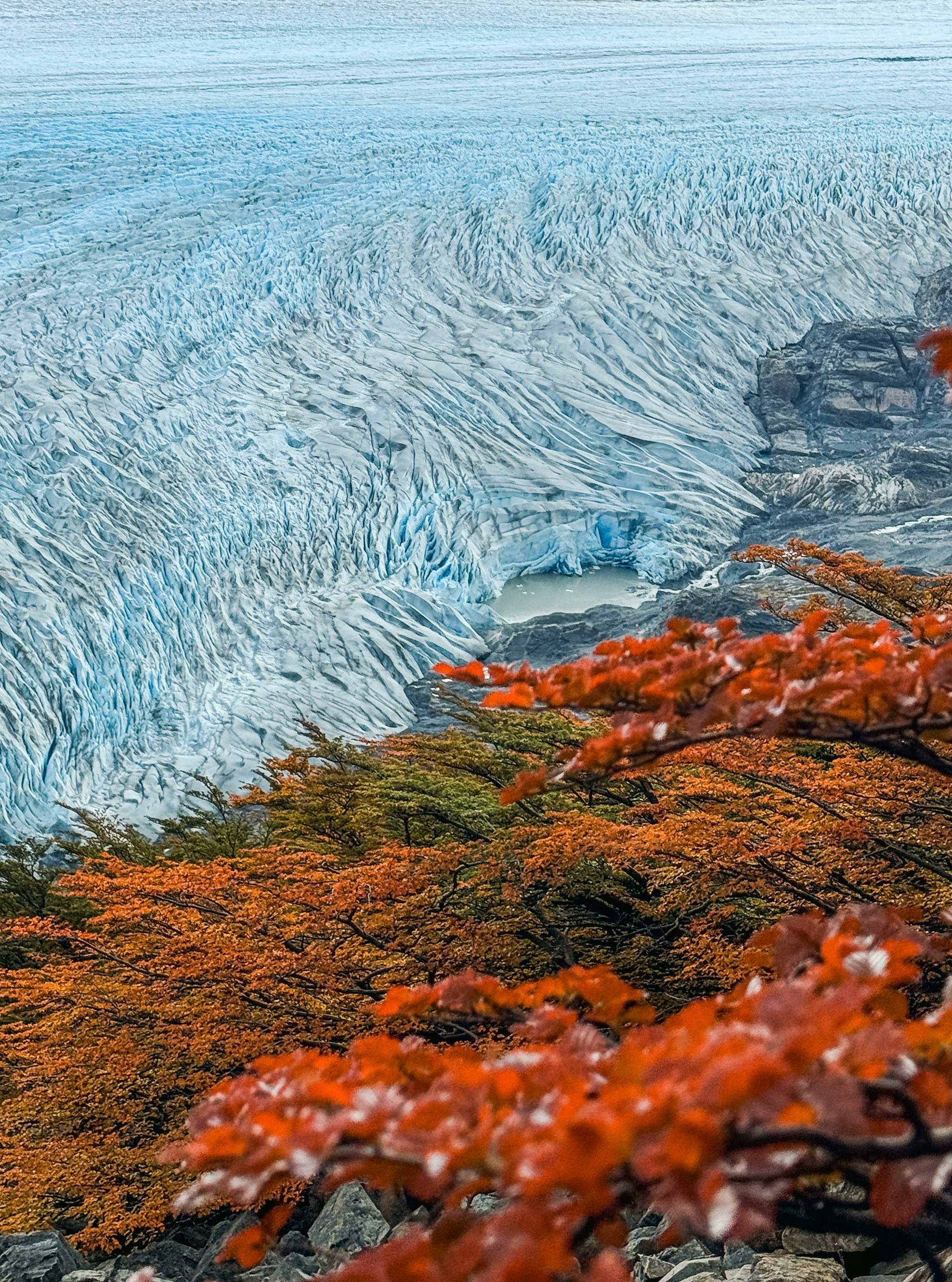 Fall Autumn Photos, Download The BEST Free Fall Autumn Stock Photos ...