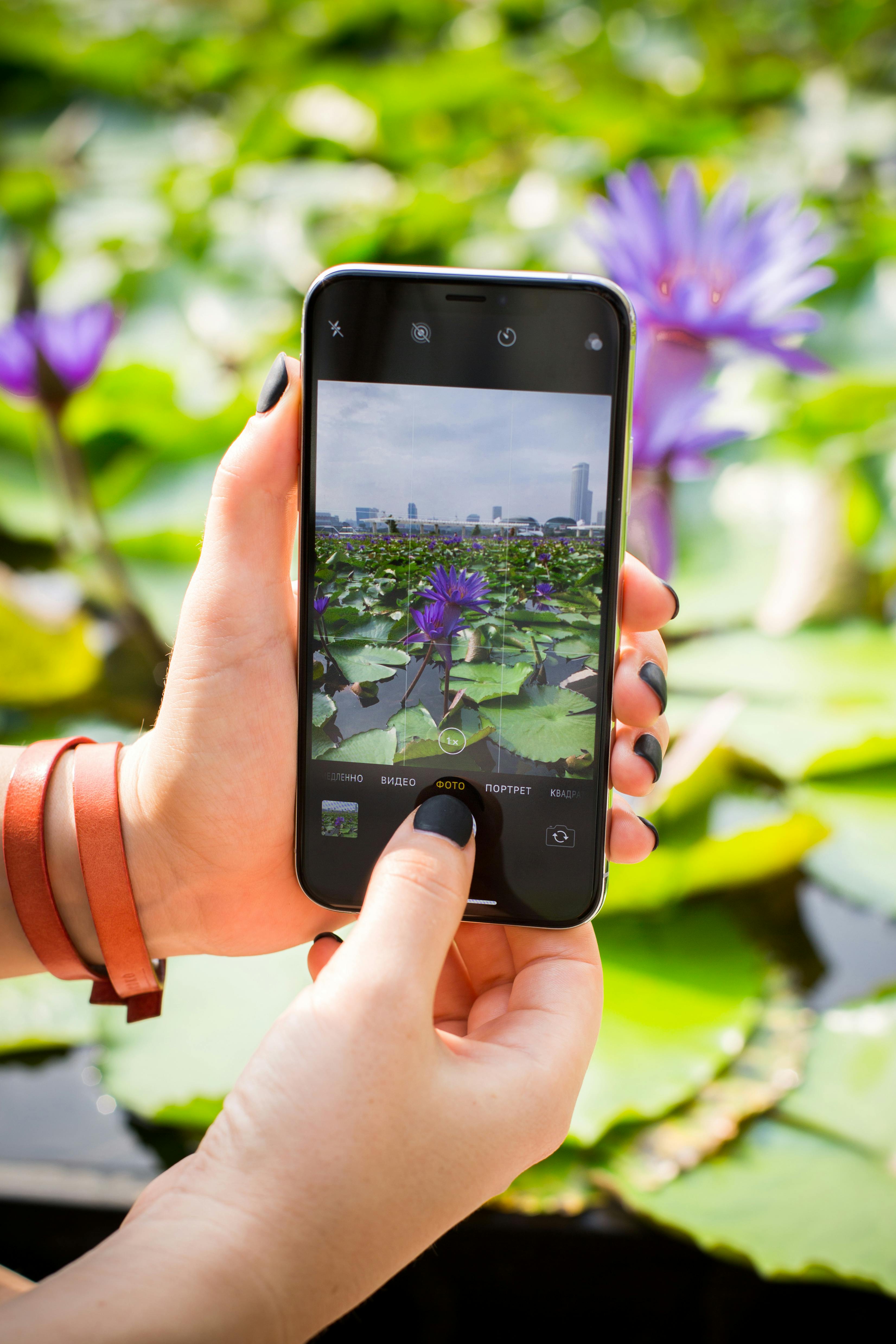 Smartphone · Free Stock Photo