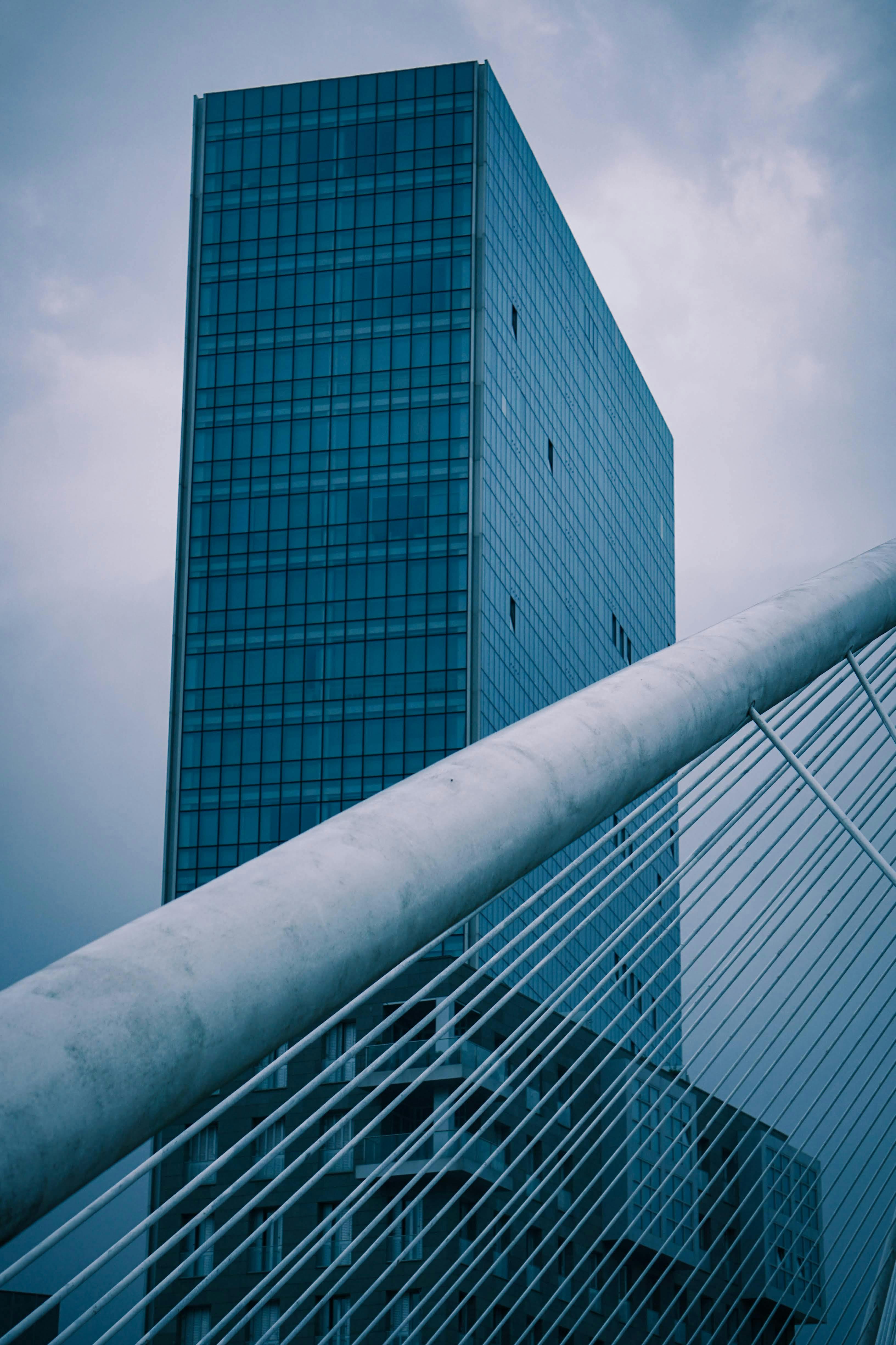 Tableau Photos, Download The BEST Free Tableau Stock Photos & HD Images