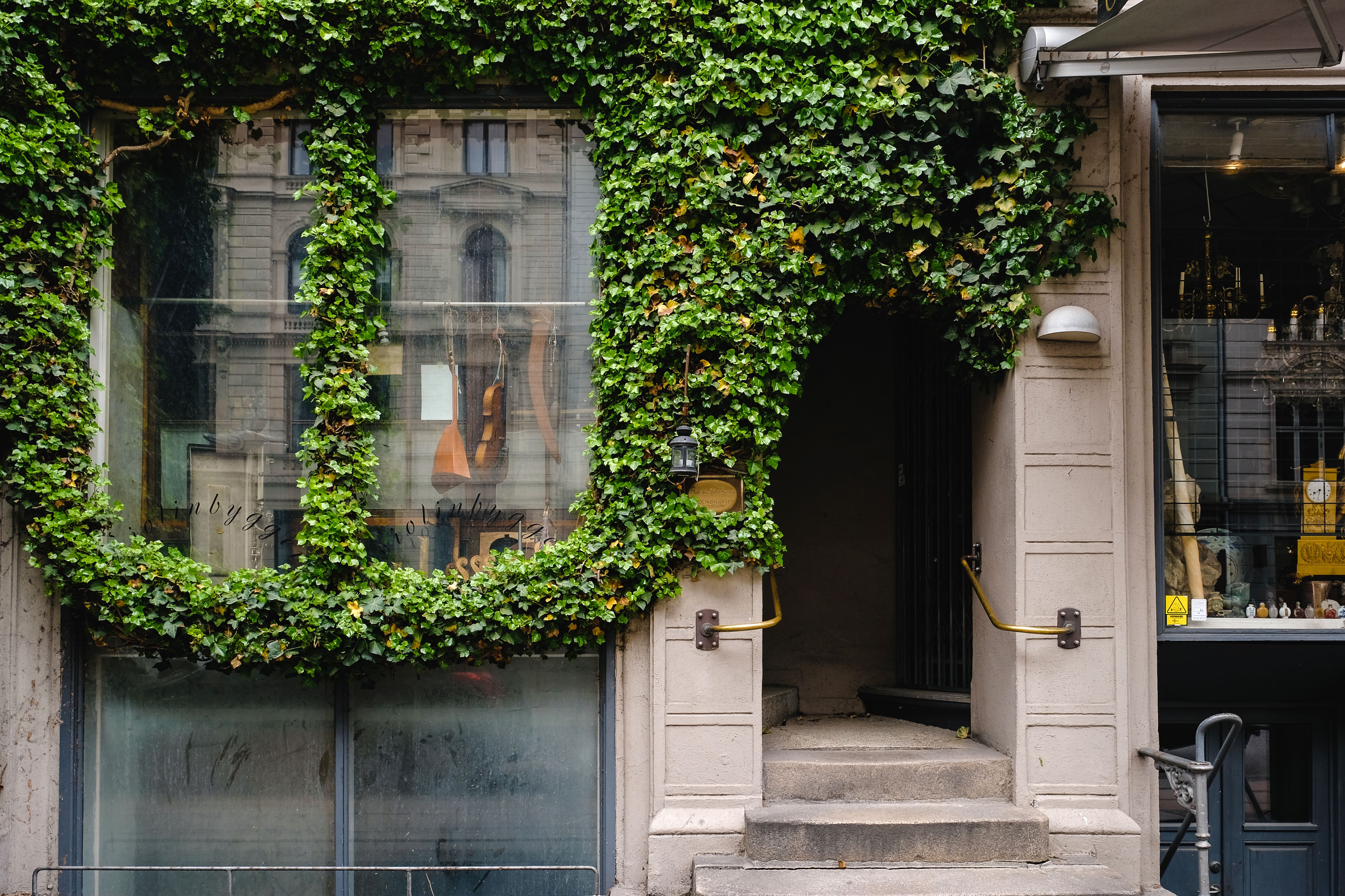Building Covered in Grass · Free Stock Photo