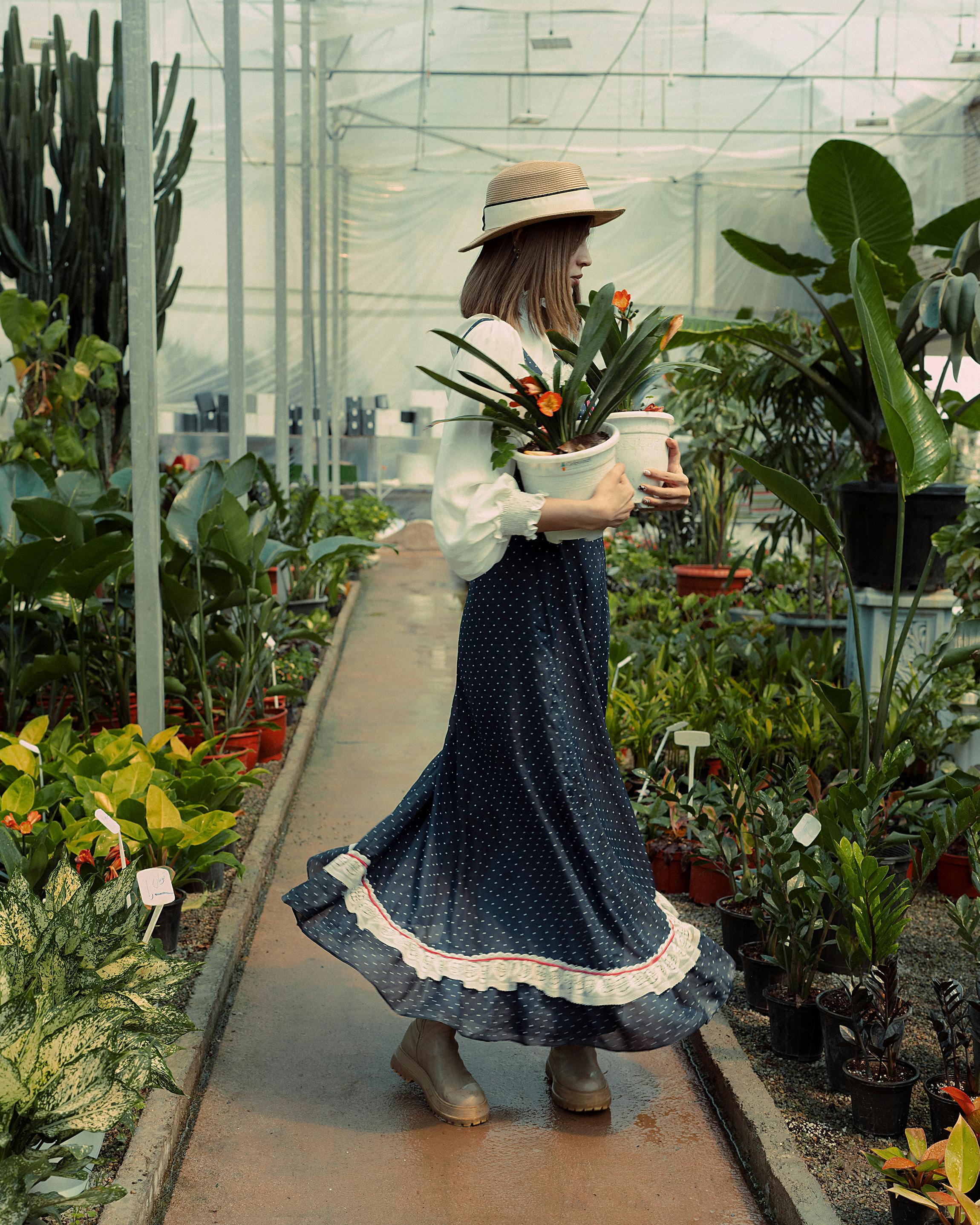 Voedsel Potted Photos, Download The BEST Free Voedsel Potted Stock ...