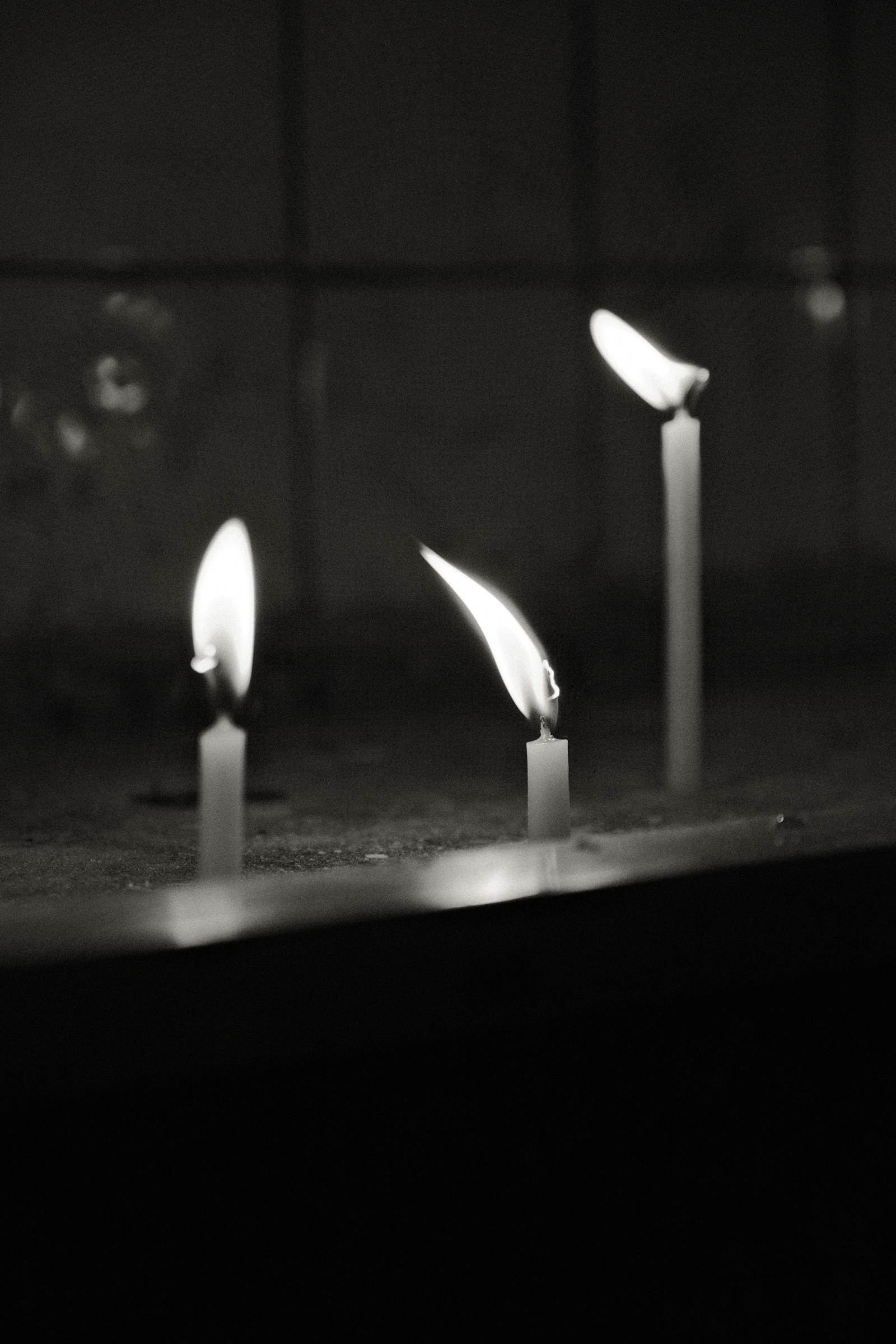 Free Fire Photos, Download The BEST Free Free Fire Stock Photos & HD Images