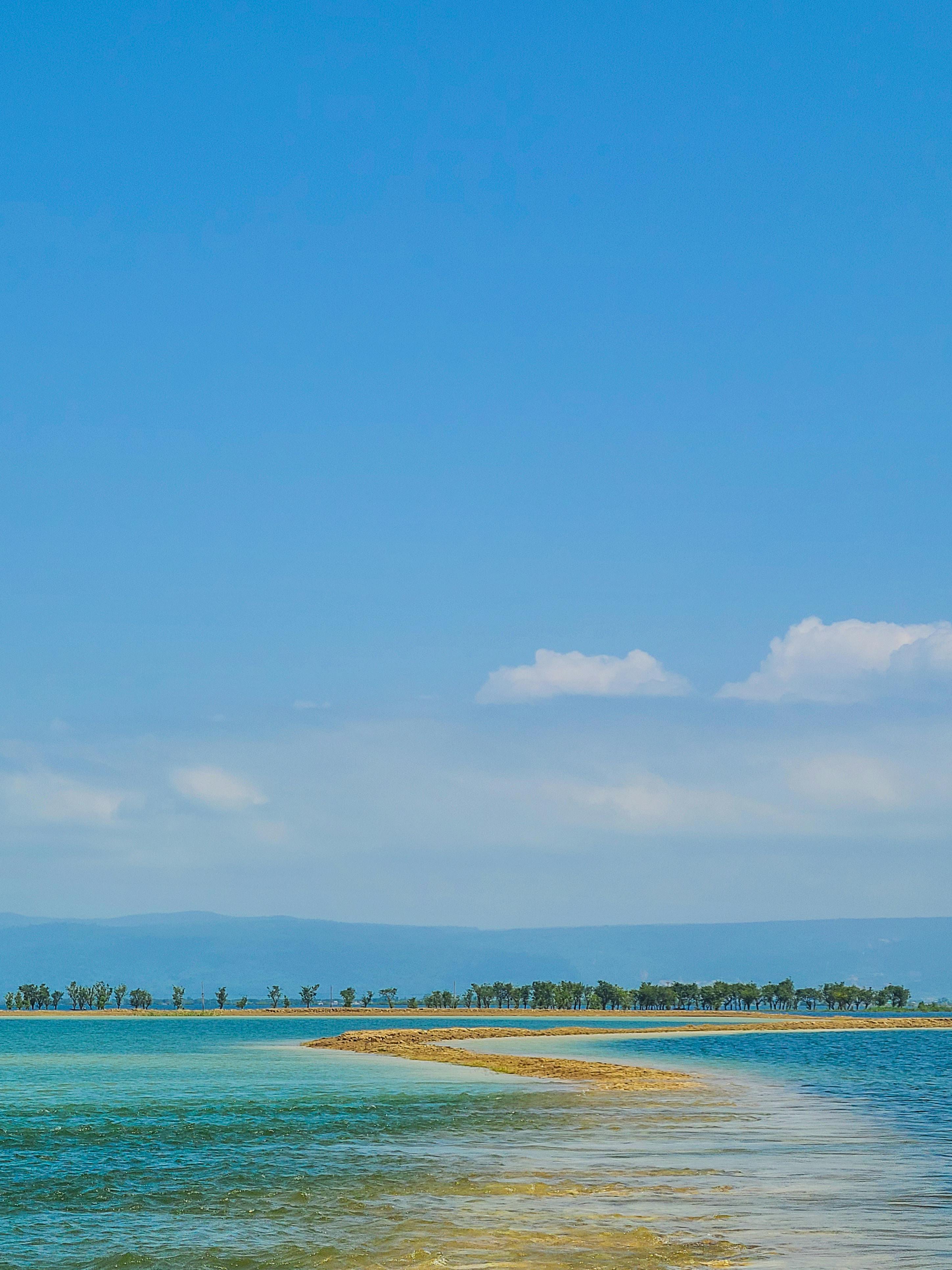 Tropical Nature Photos, Download The BEST Free Tropical Nature Stock ...