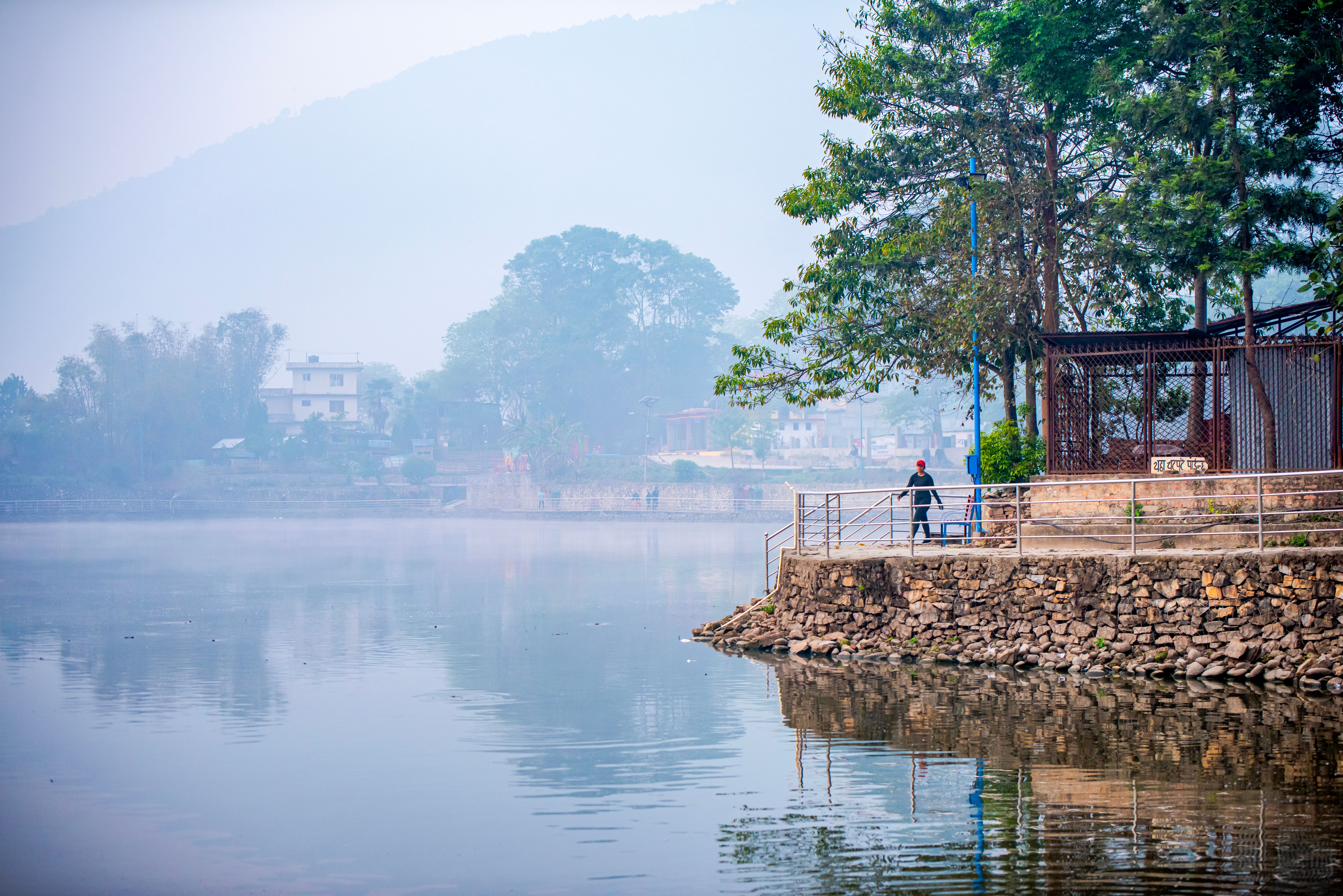 Lake side · Free Stock Photo