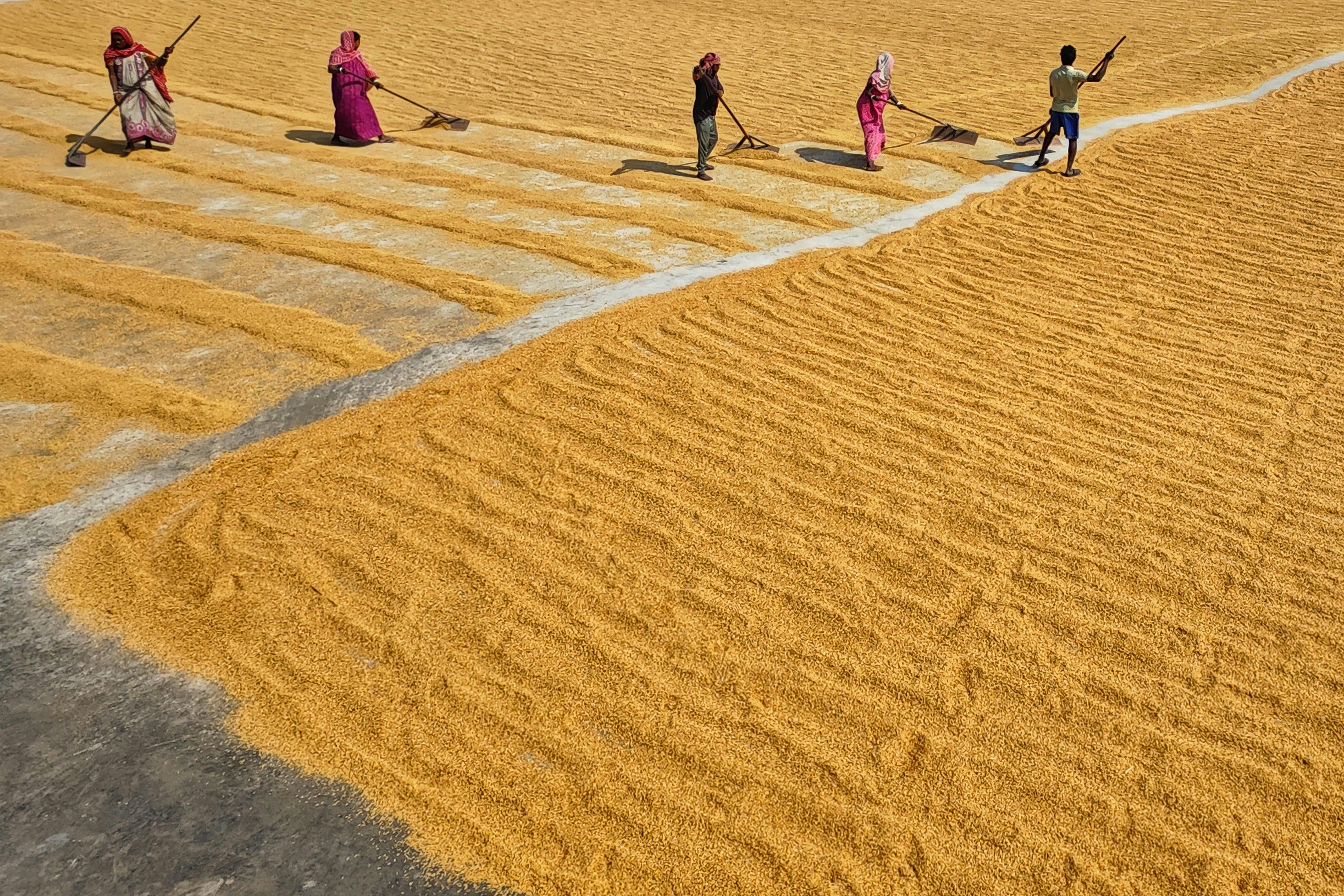 Rural agricultural life. · Free Stock Photo