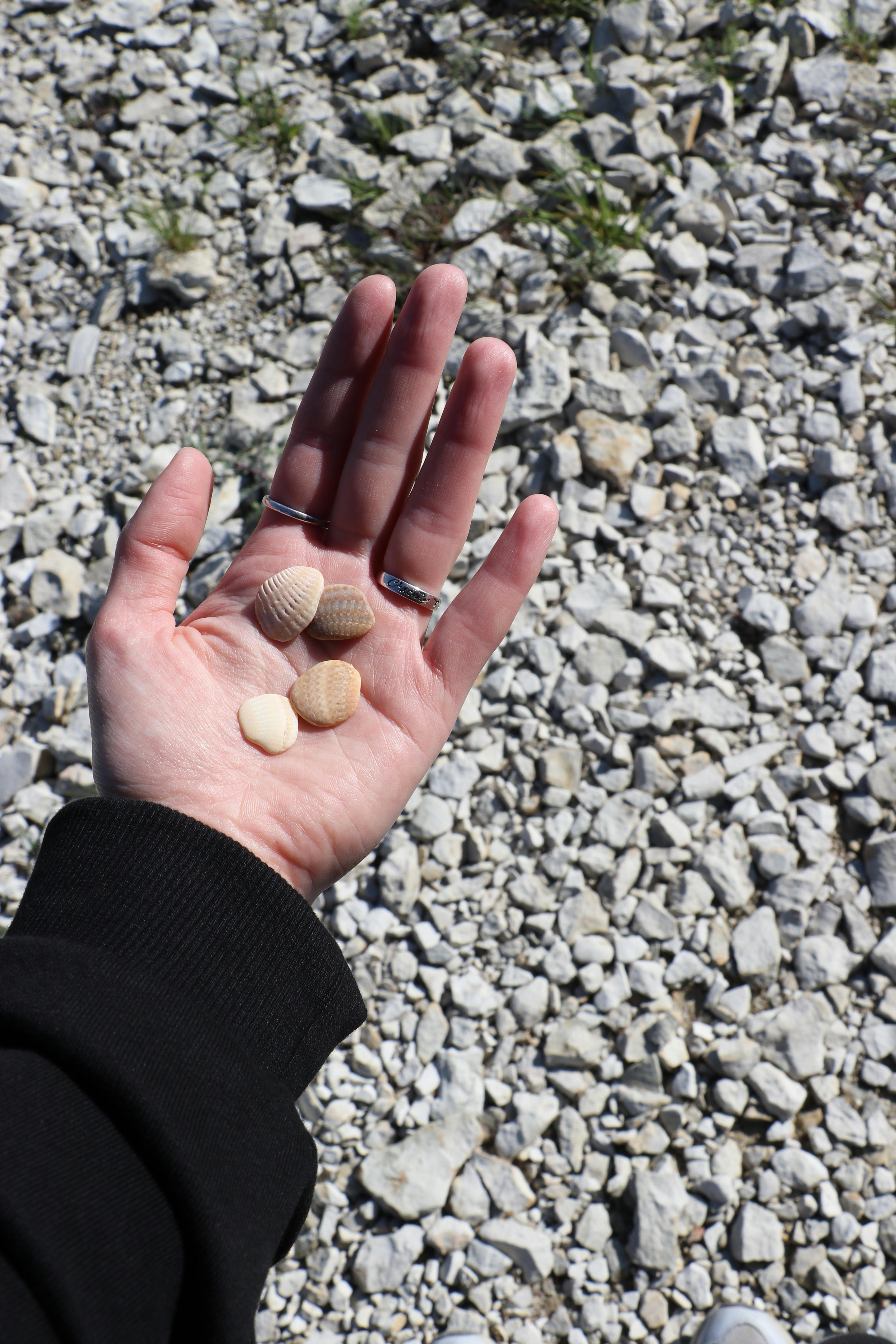 Hand of a Person Holding a Bunch of Stones · Free Stock Photo