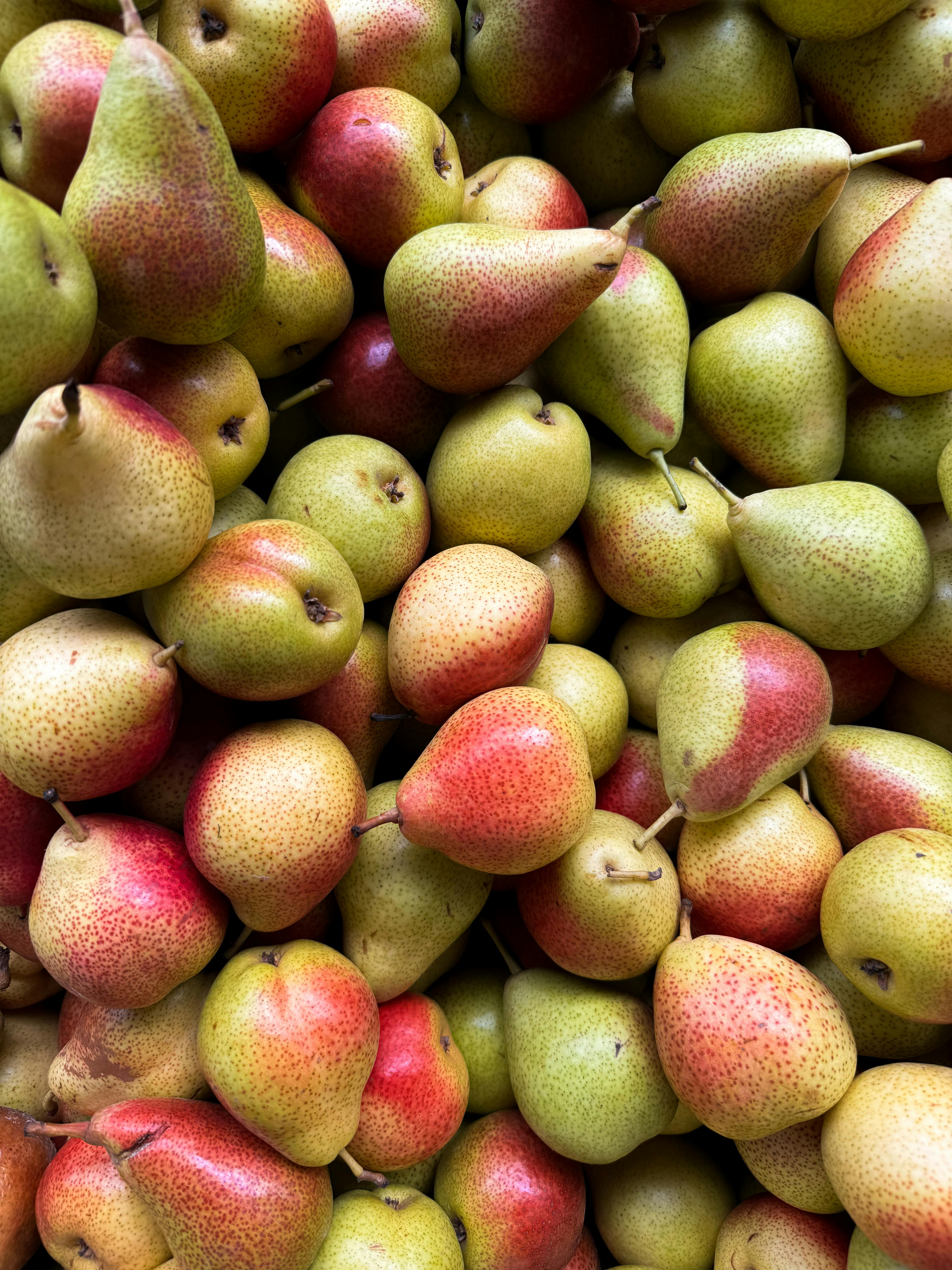 Pile of Fresh Pears · Free Stock Photo