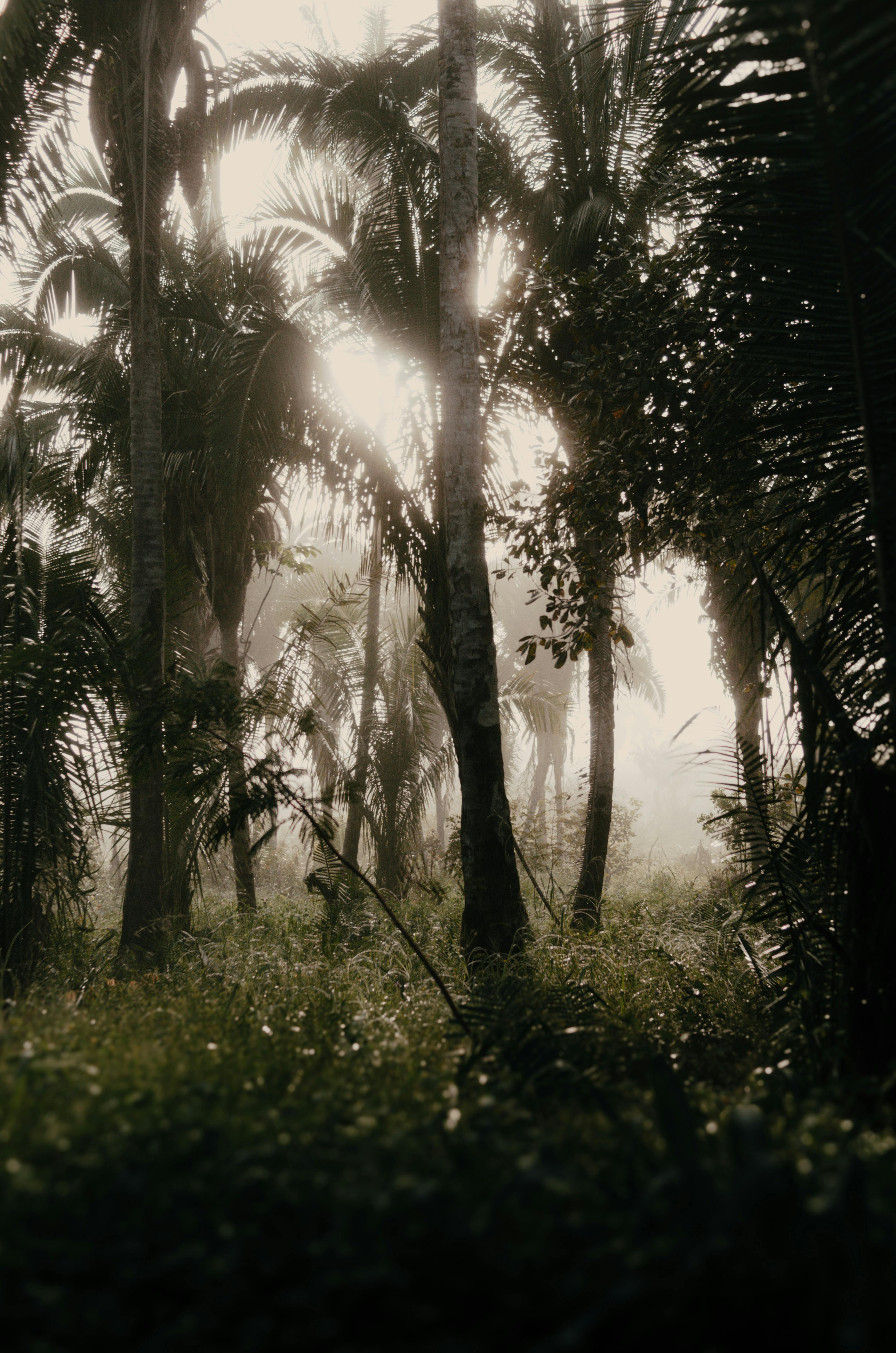 10,000+张最精彩的“Take In”图片 · 100%免费下载 · Pexels素材图片