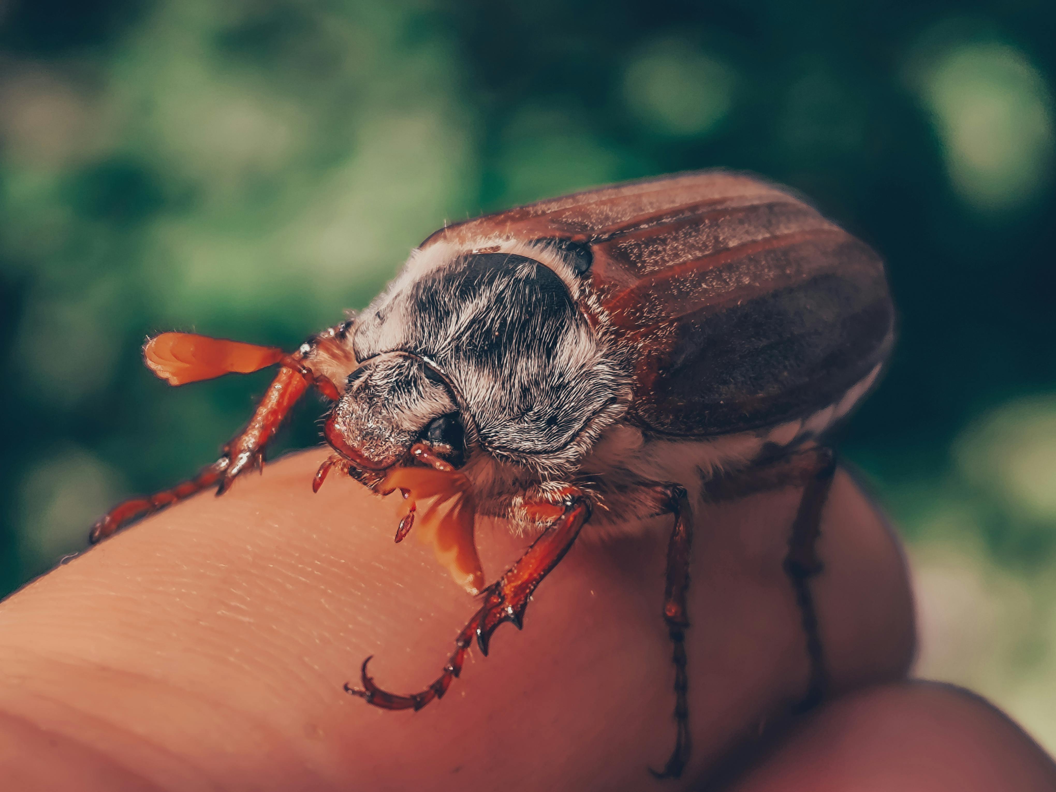 Tile Tile Photos, Download The BEST Free Tile Tile Stock Photos & HD Images