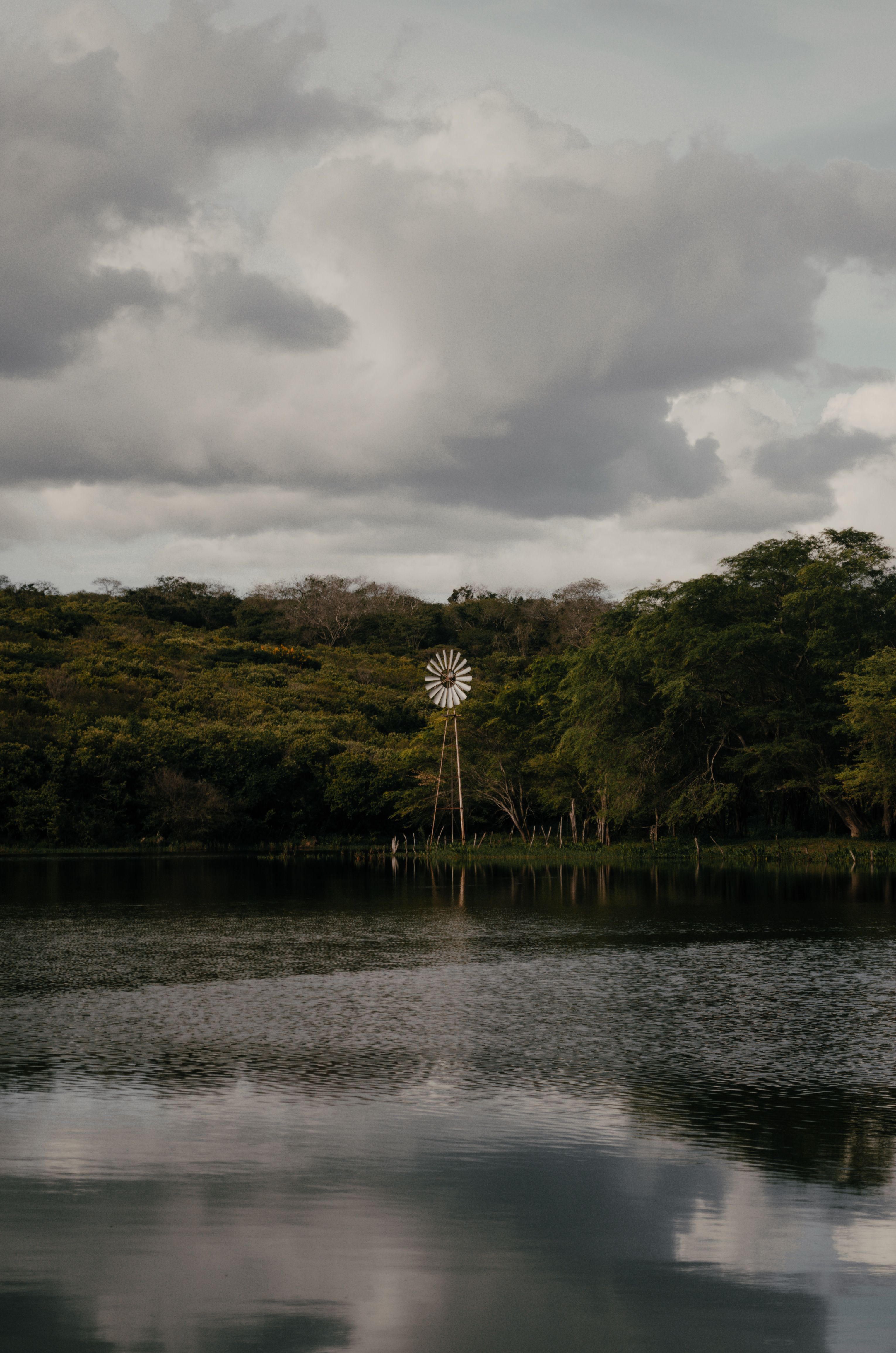 Scenic Lake View with Windmill and Lush Forest · Free Stock Photo