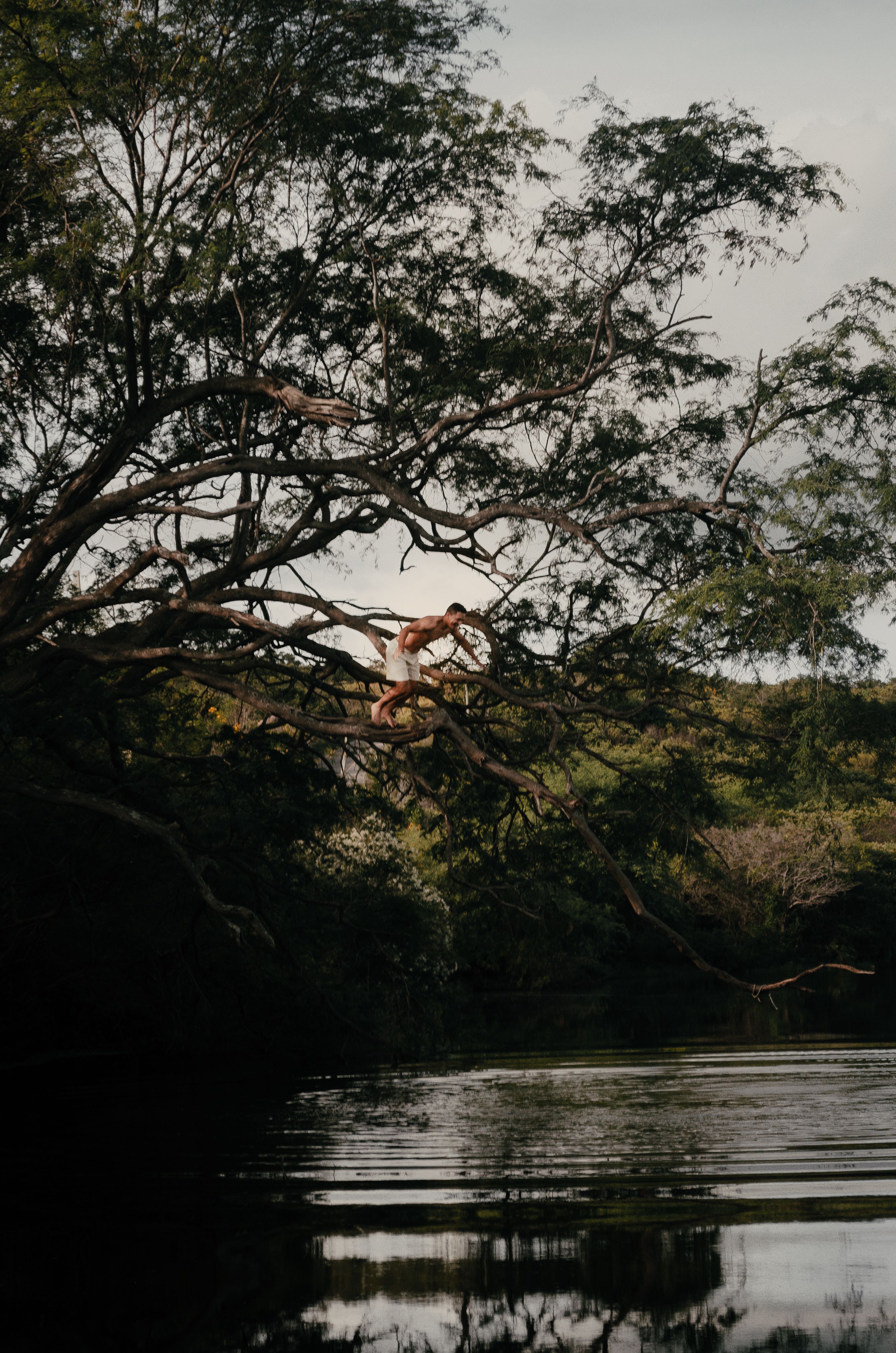 Man Climbing Tree Over Tranquil River Scene · Free Stock Photo