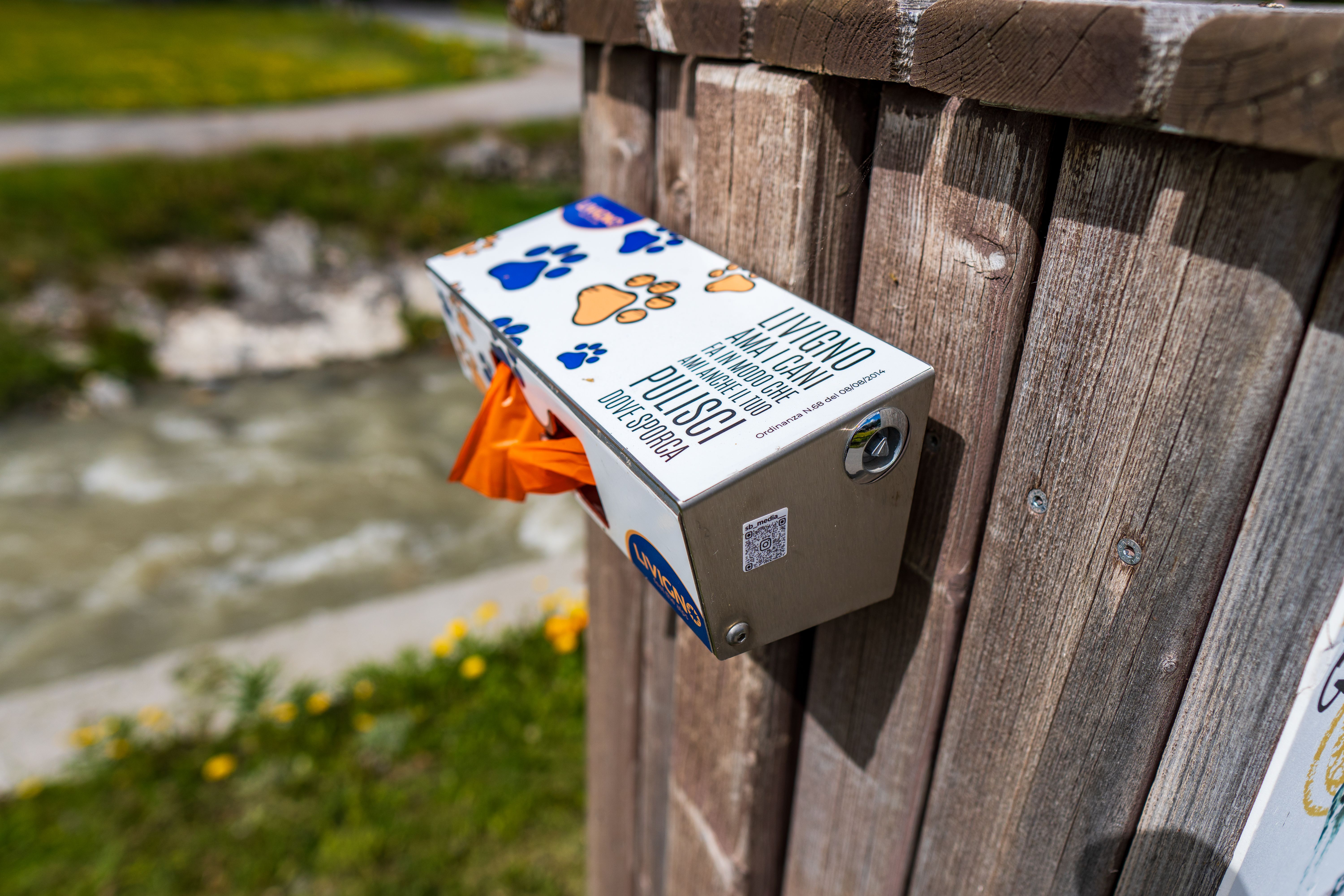 Dog Poop Clean Photos, Download The BEST Free Dog Poop Clean Stock ...