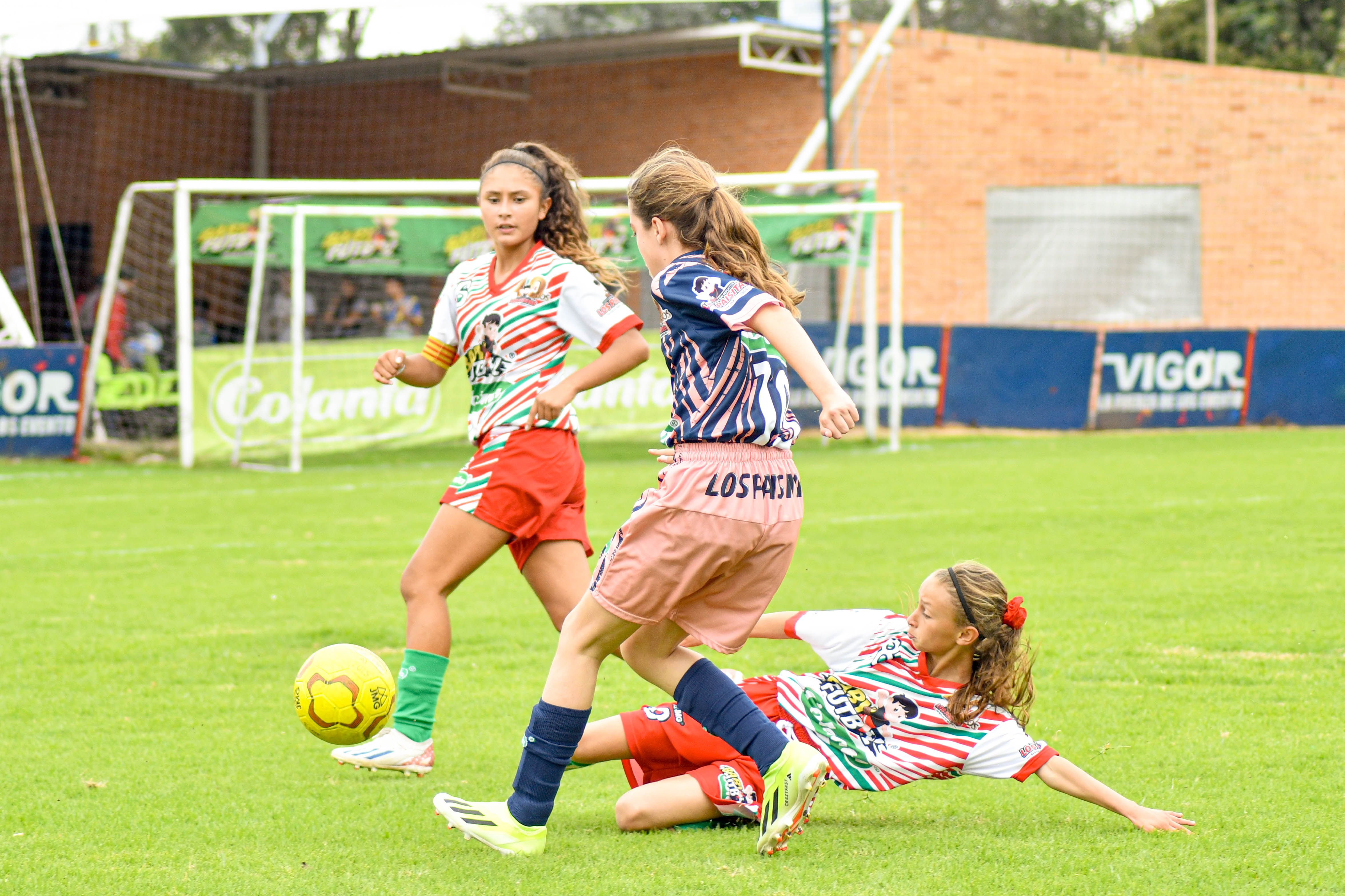 A group of girls playing soccer on a field · Free Stock Photo